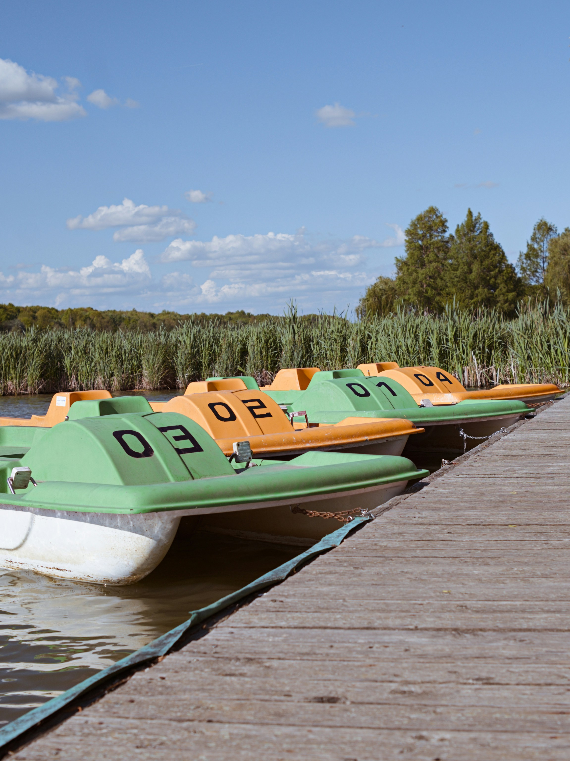 Colorful Watercraft Awaiting Adventurers