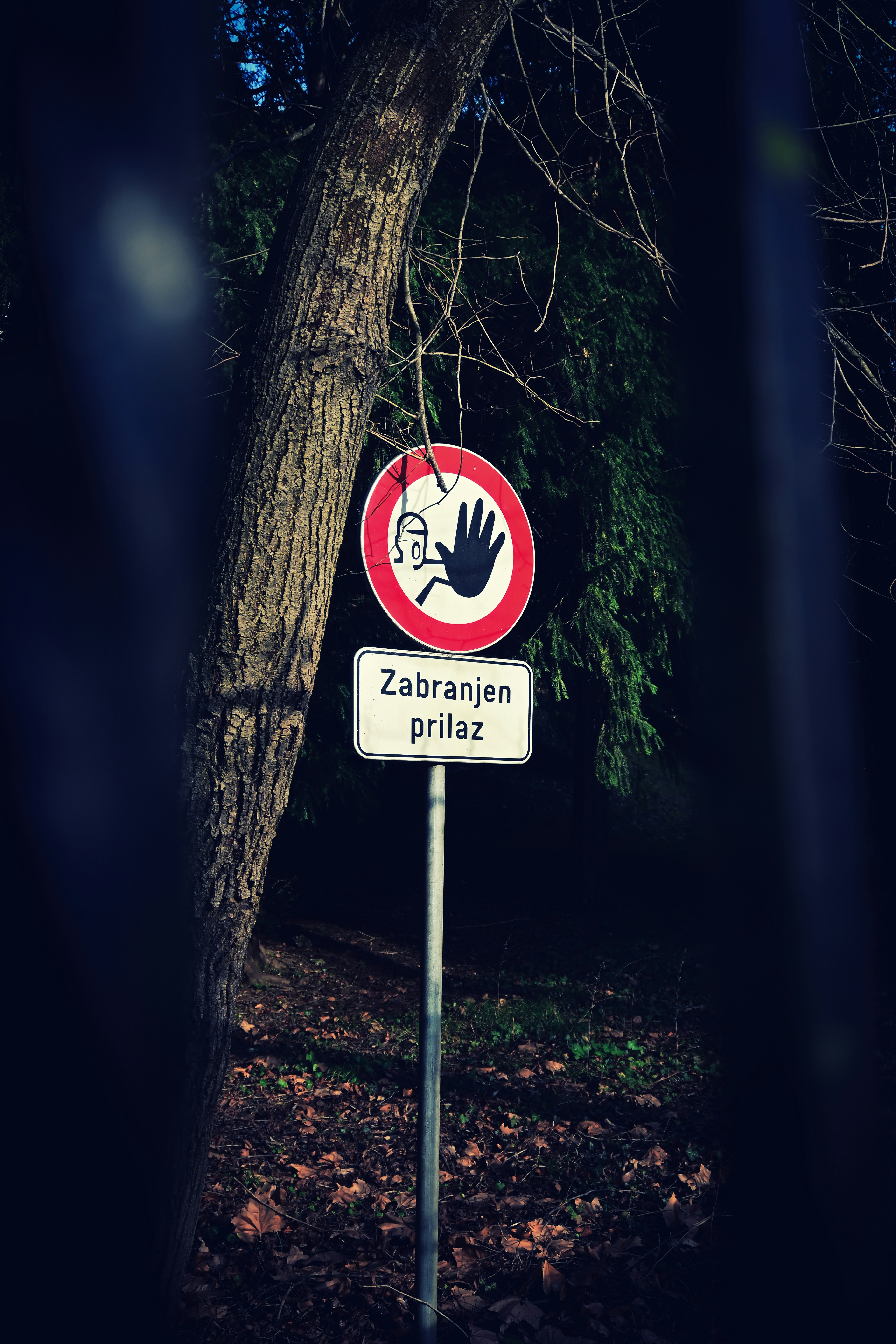 Forbidden Pictures | Download Free Images on Unsplash