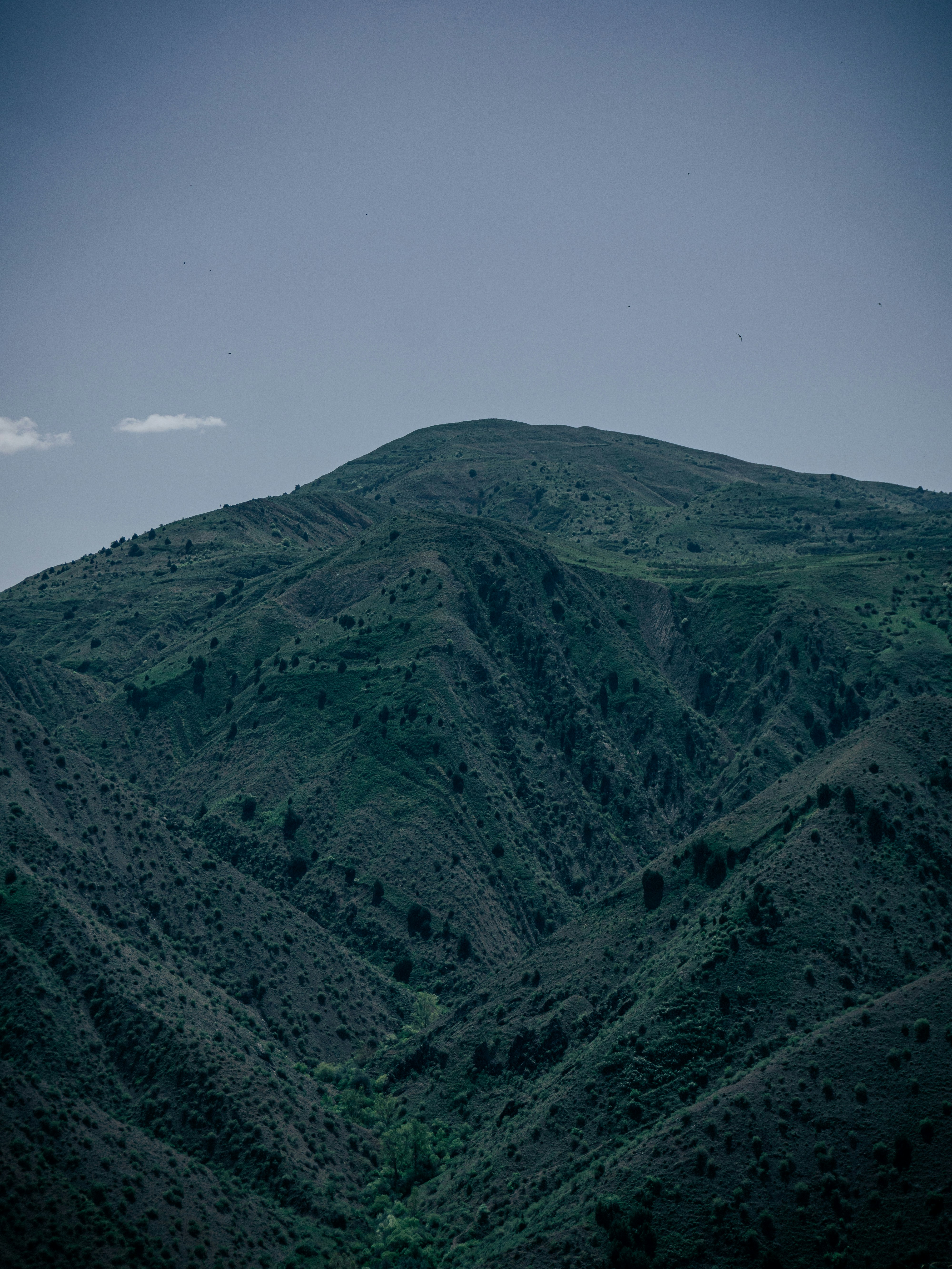 A large hill with a sky in the background photo – Free Forest Image on ...