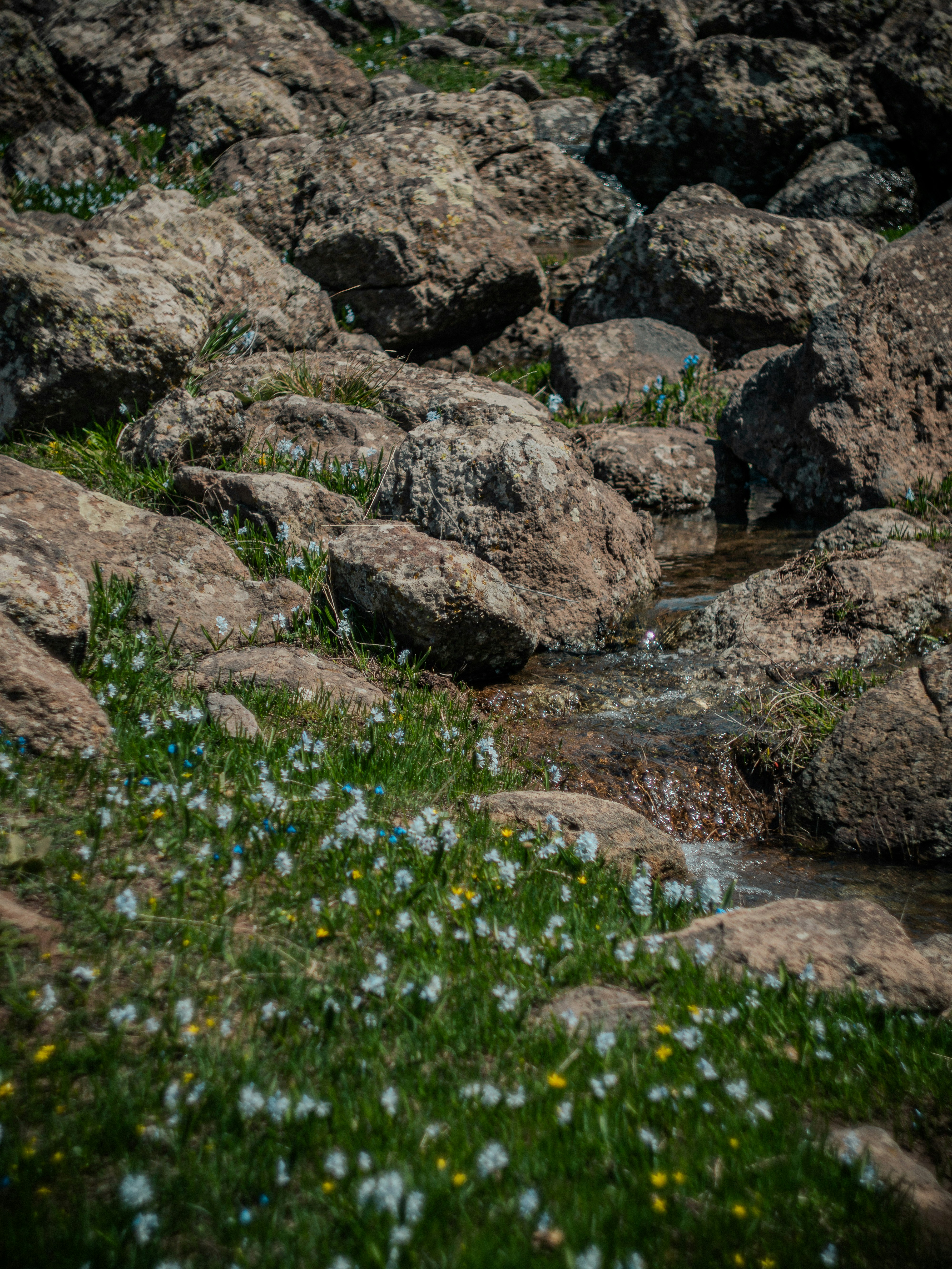 A small stream running through a rocky field photo – Free Background ...