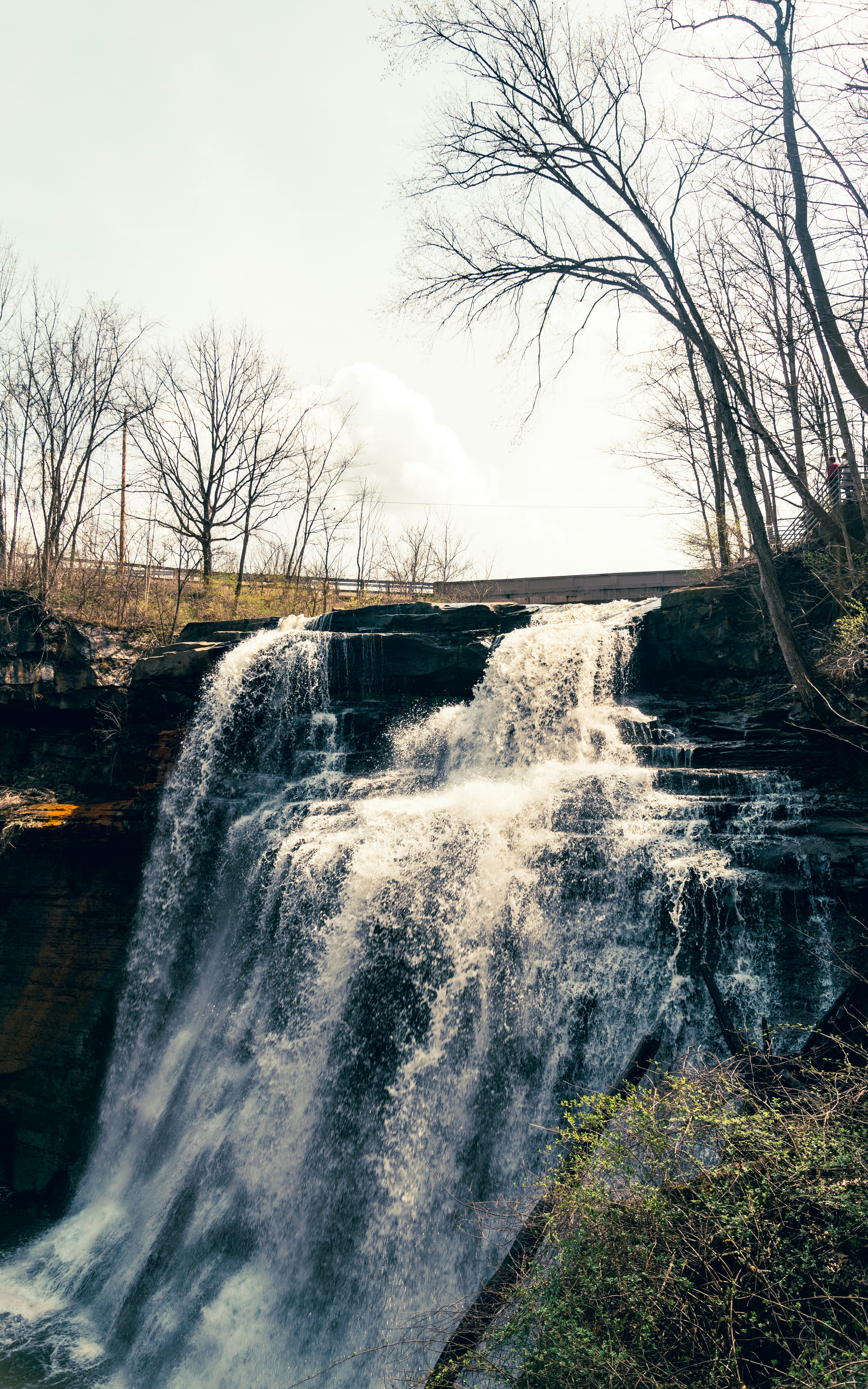 Waterfall flowing over rocky ledge surrounded by bare trees under a pale sky.