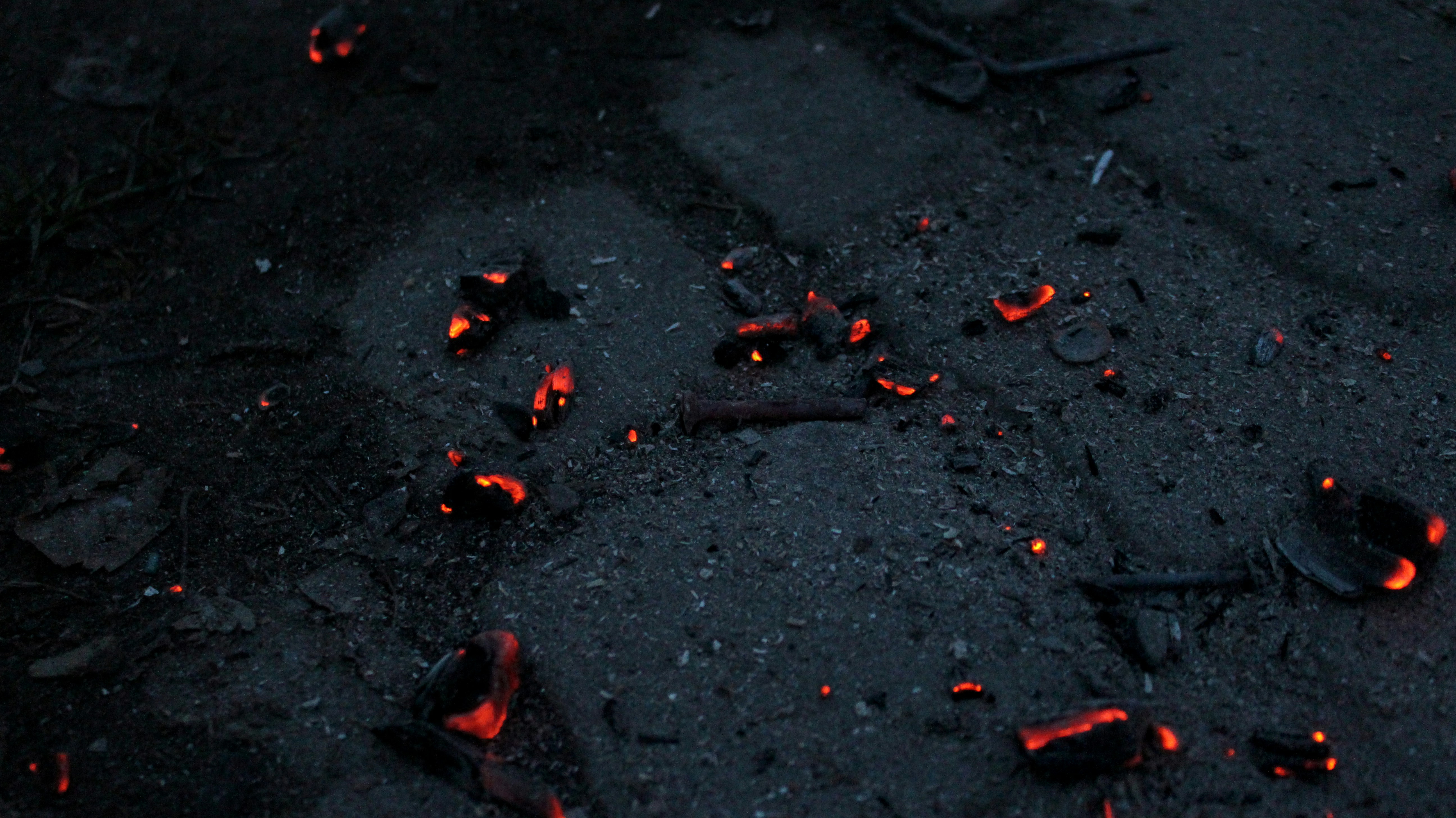 Afterglow on Charred Ground: A Sparse Ember Mosaic