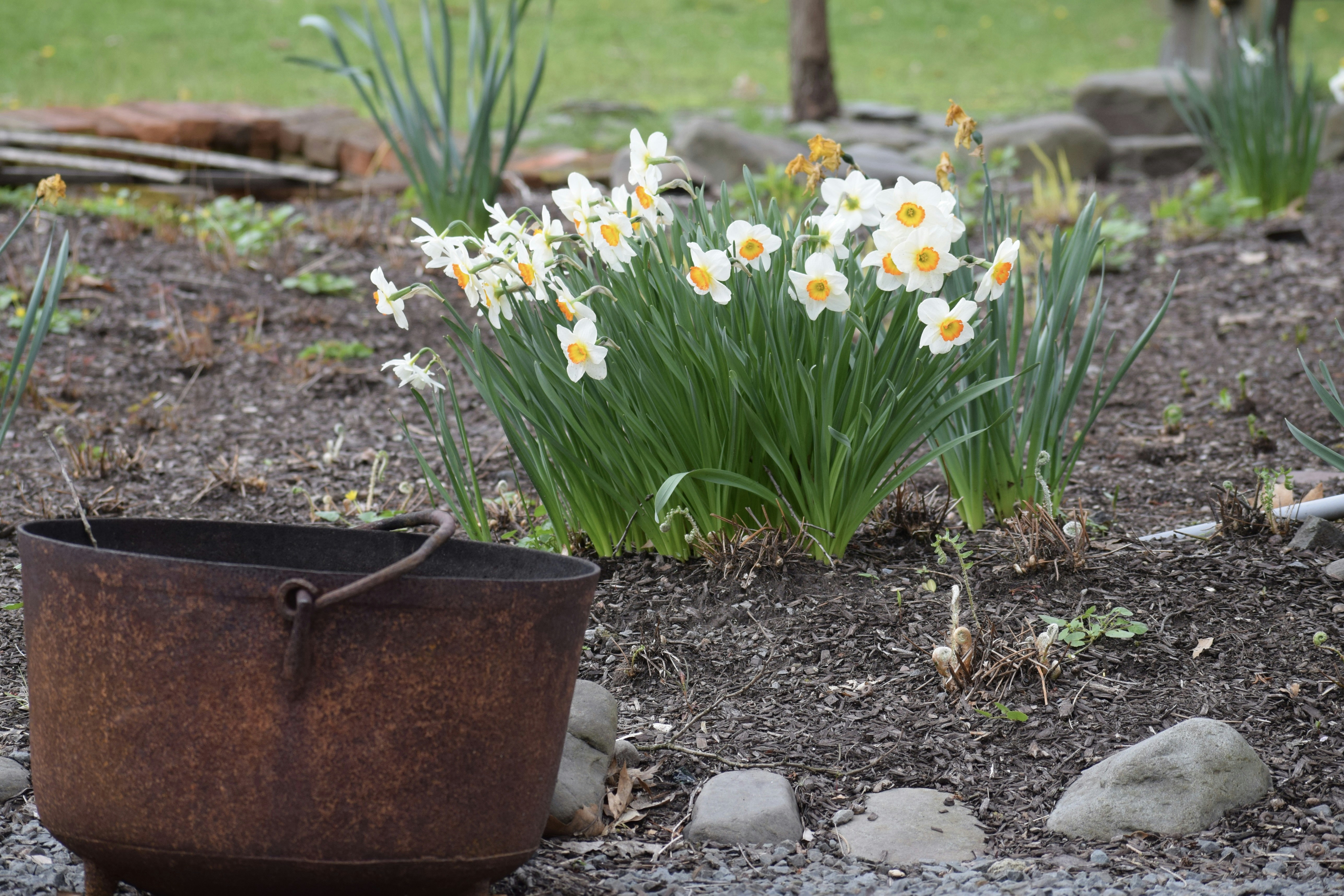 Photo by Christina Jones O'Leary with Nikon D5300