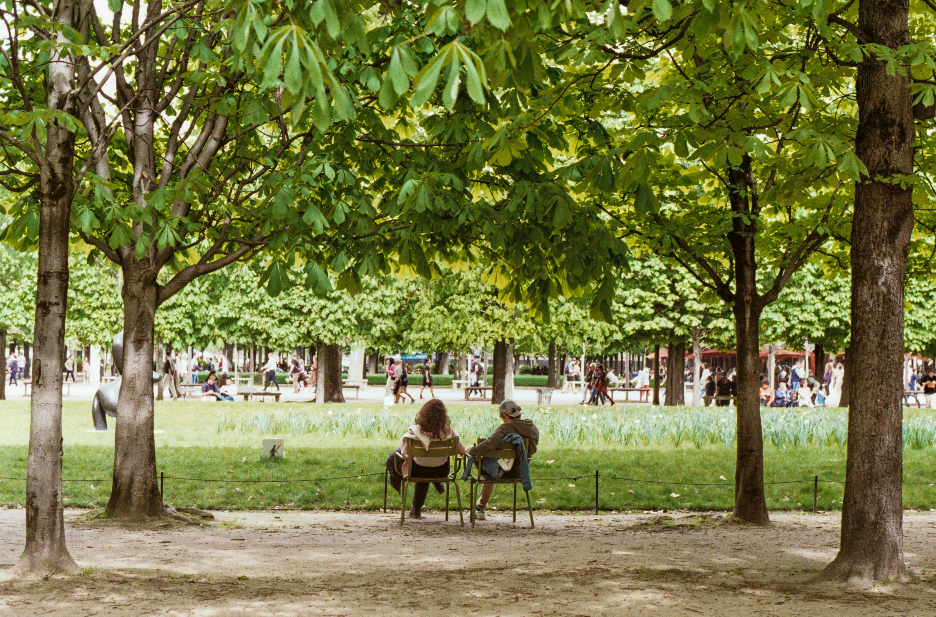 Two people sitting on a bench in a park photo – Free Forest Image on ...