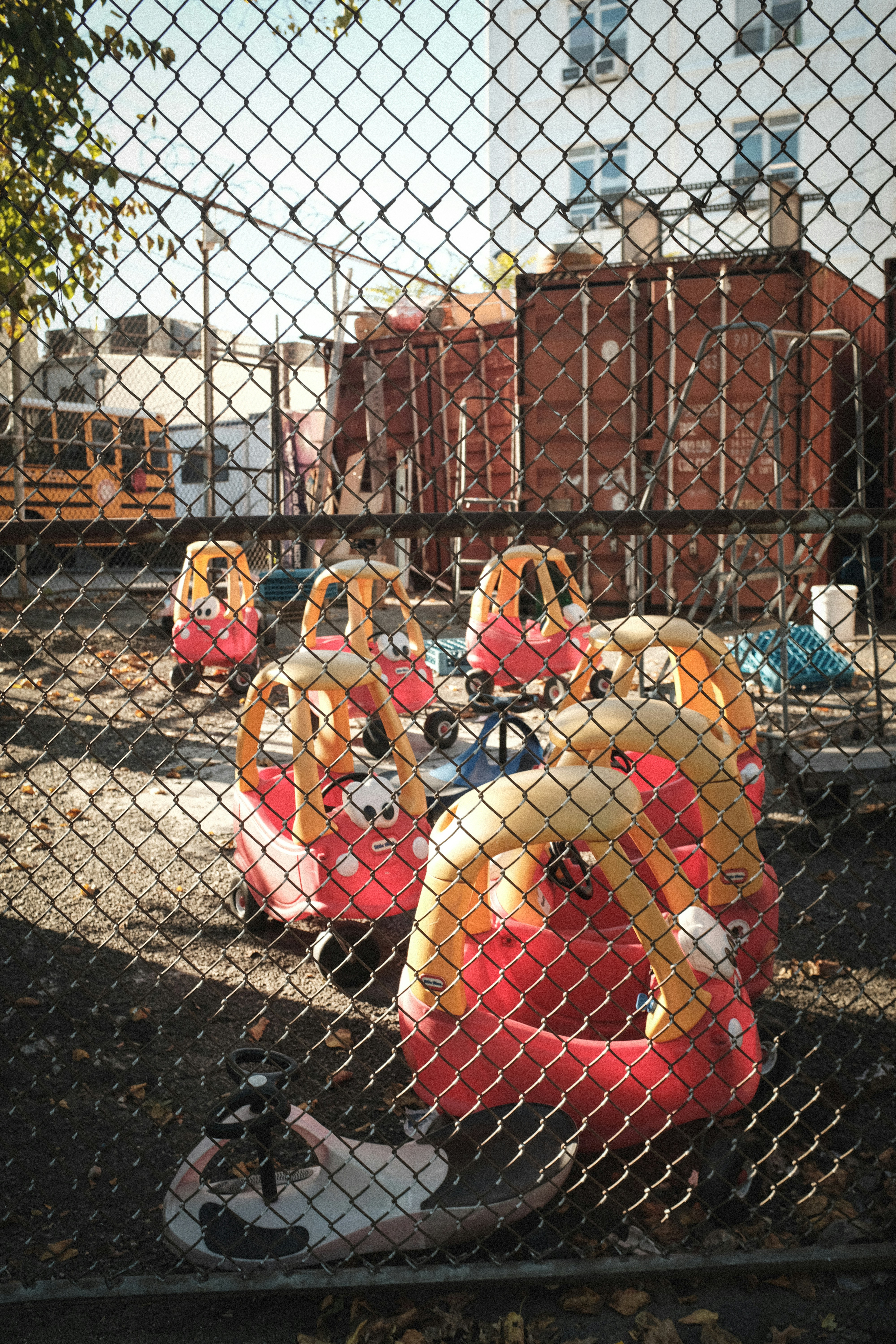 Ducks Behind the Mesh: Sunlit Bumper Boats in an Urban Yard