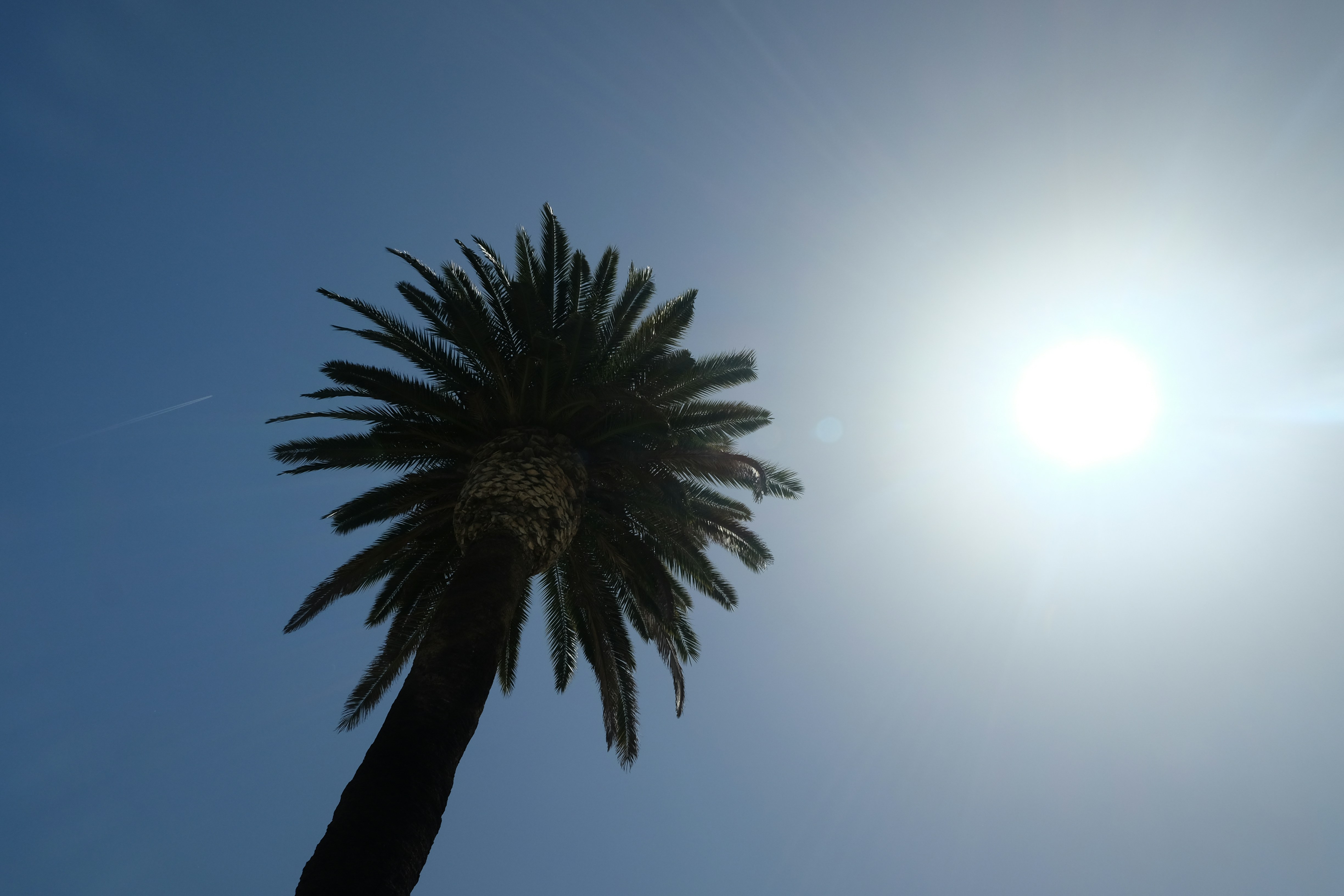 Photo by JP Sheard with Fujifilm X-T10