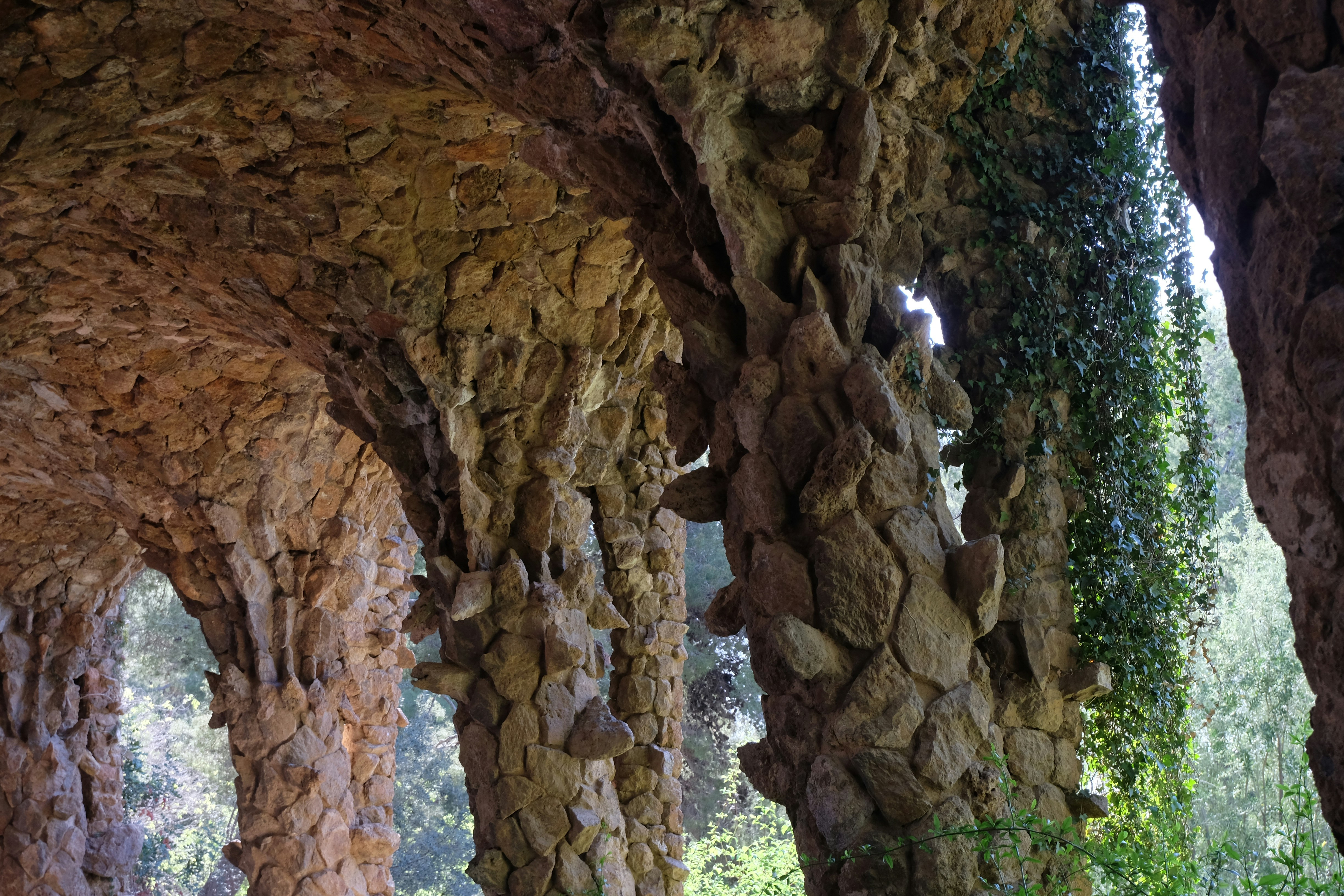 Sunlit Ivy Arches: A Corridor of Stone