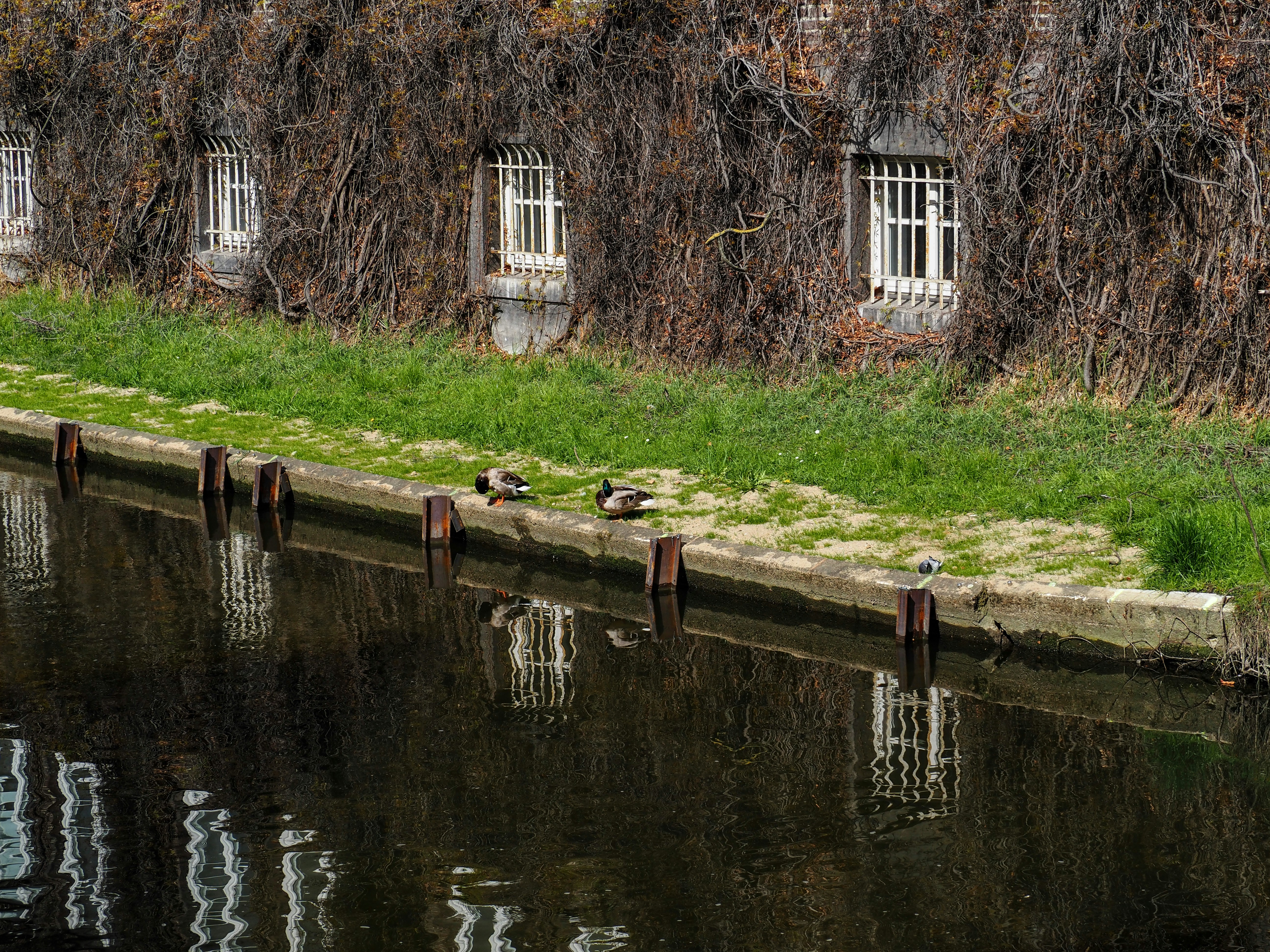 Photo by Lidia Stawinska with Olympus OM-D E-M10 Mark IV