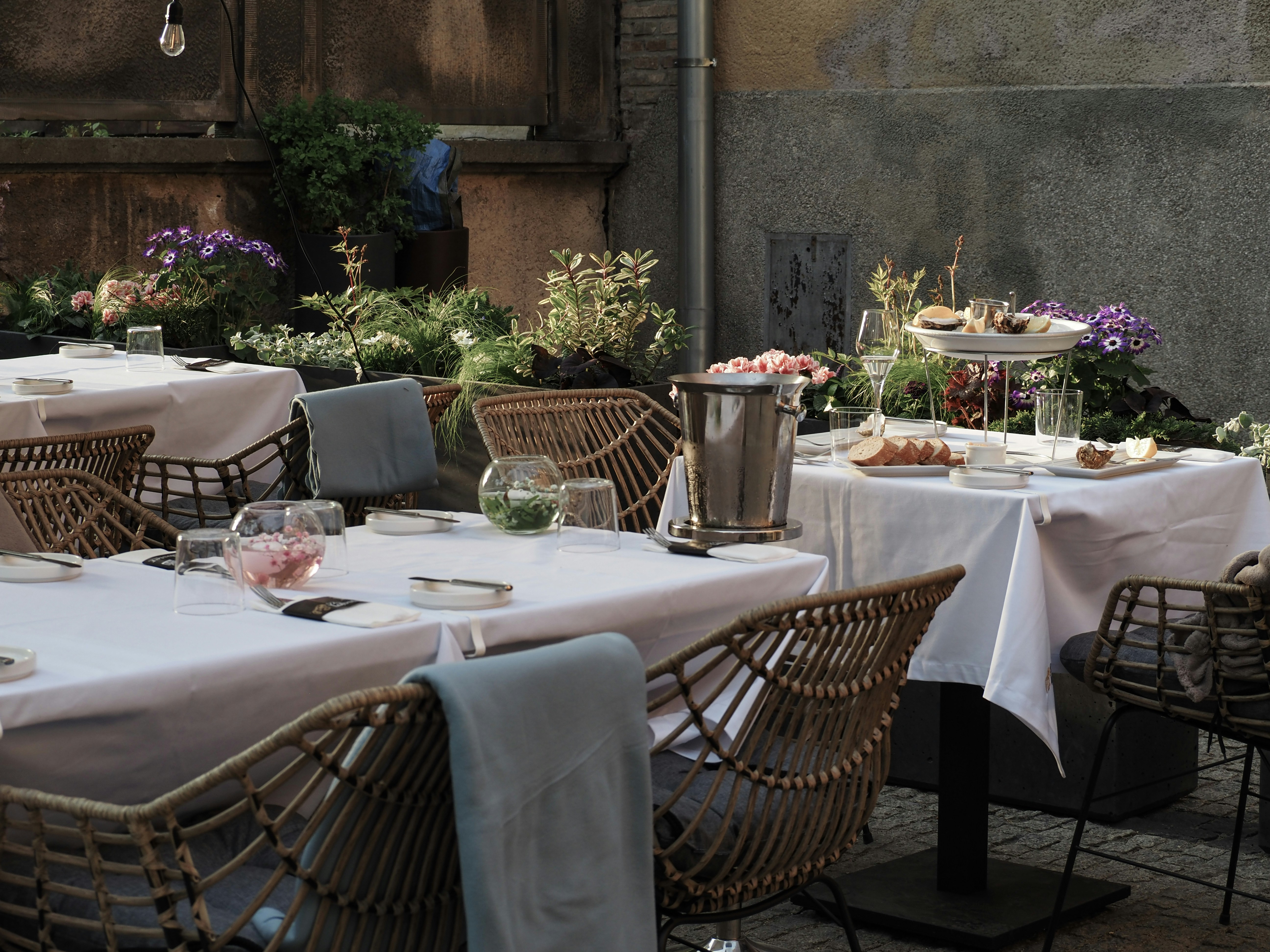 Photo by Lidia Stawinska with Olympus OM-D E-M10 Mark IV