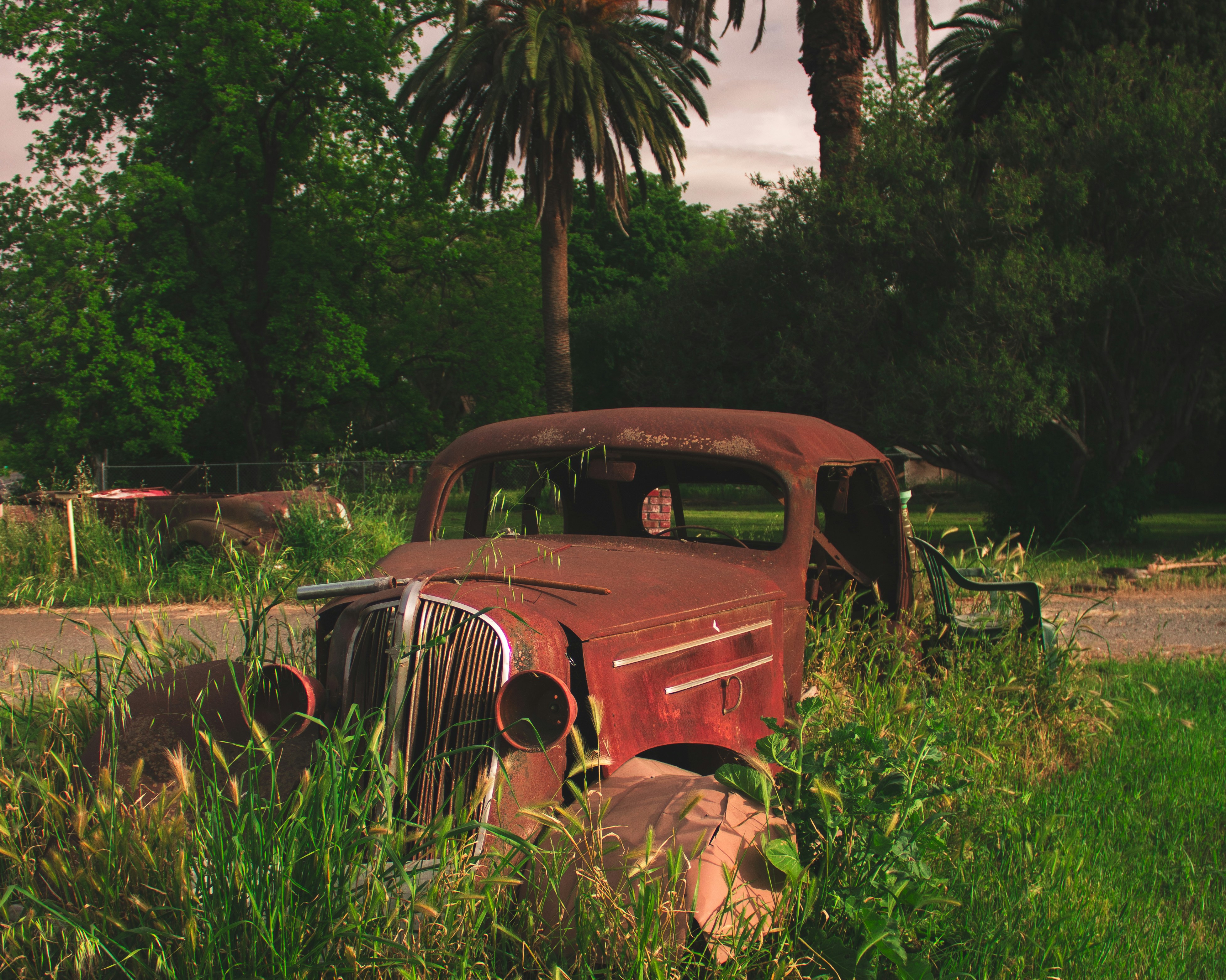 Overgrown Relic: A Rusted Vintage Car Quietly Reclaims the Field
