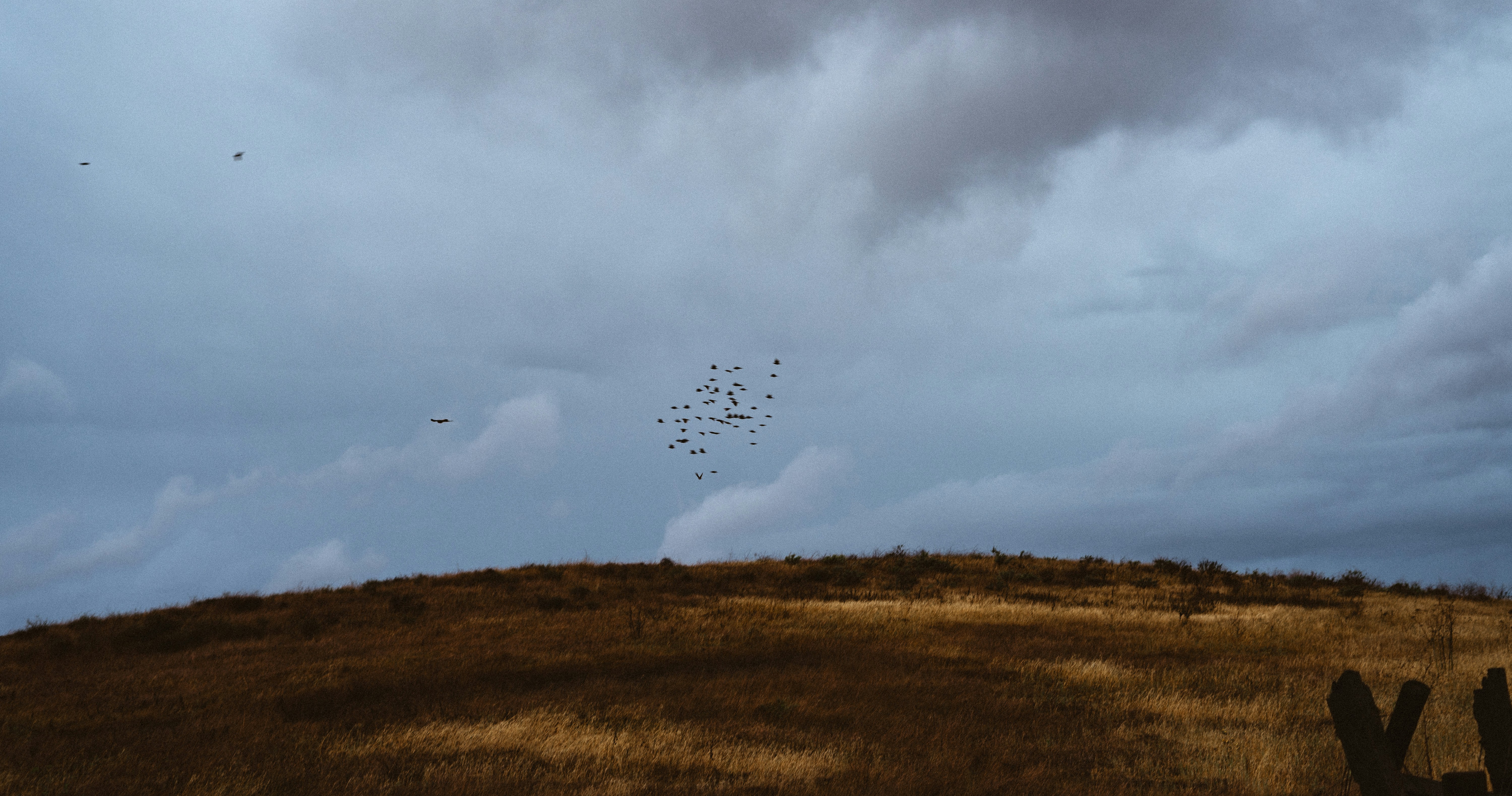 Photo by Juan Pablo Peluffo with Sony Alpha 7 III