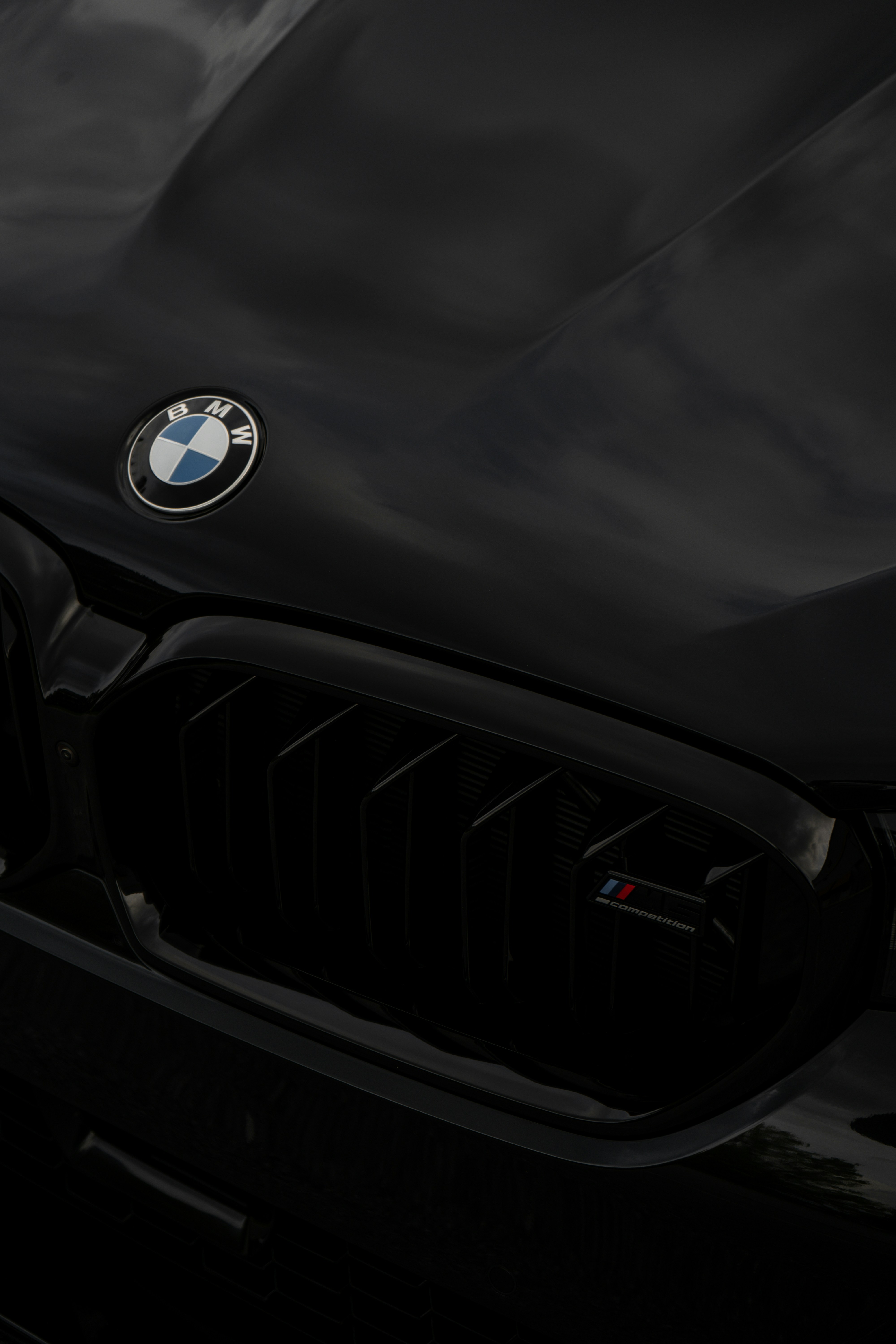 BMW badge on a dark BMW grille in close-up