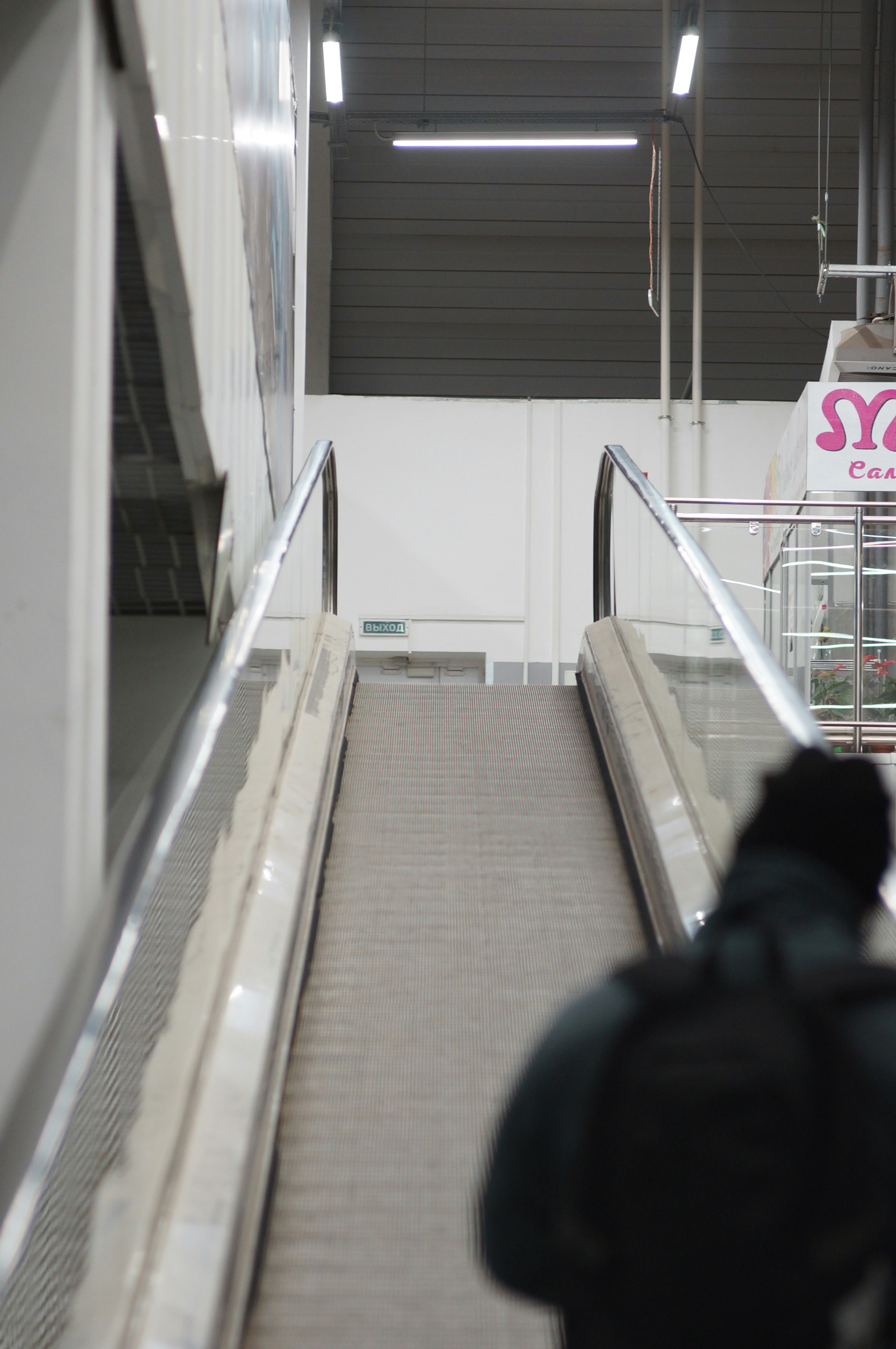 A person riding an escalator down a flight of stairs photo – Free ...