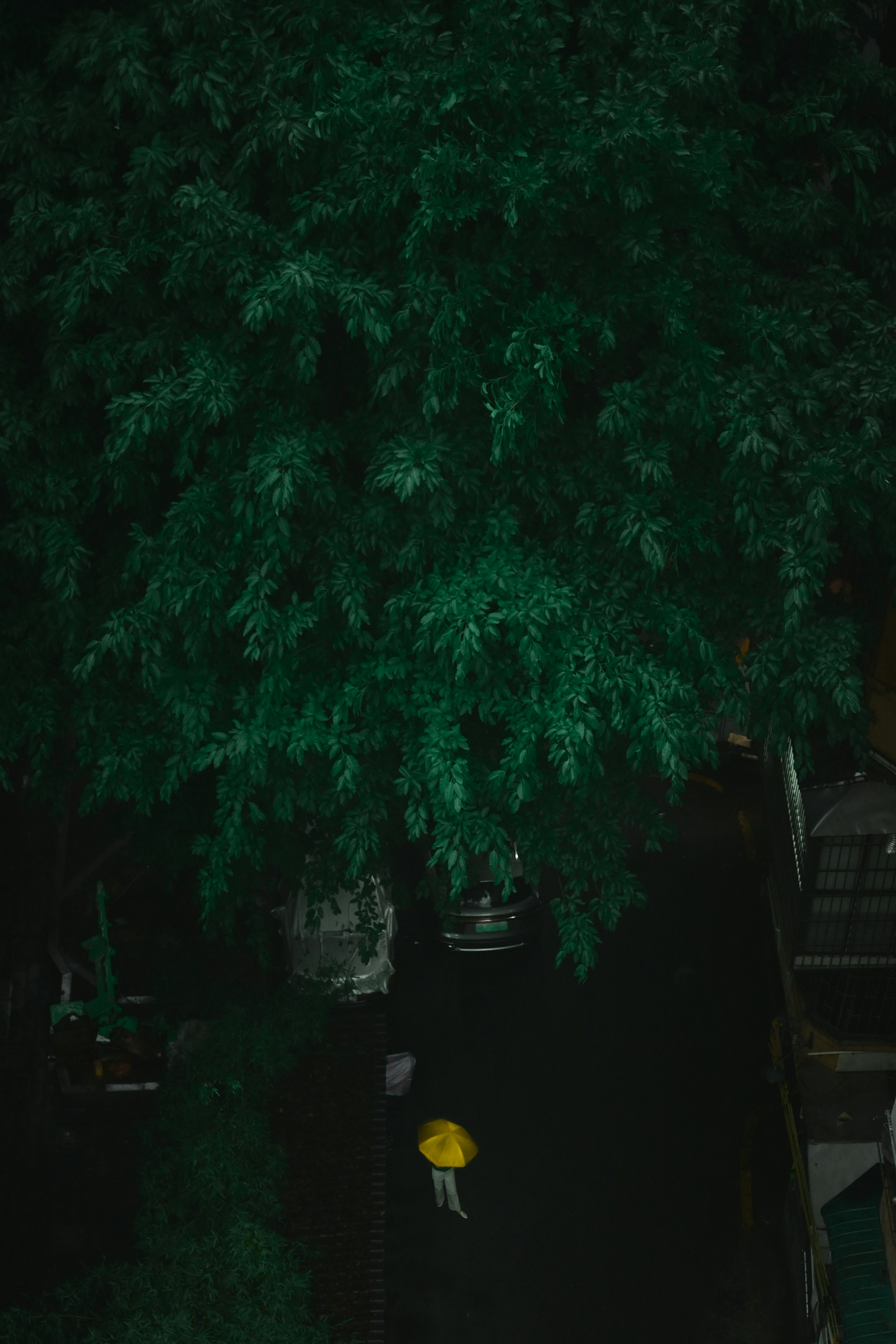 A person standing under a tree with a yellow umbrella photo – Free City ...