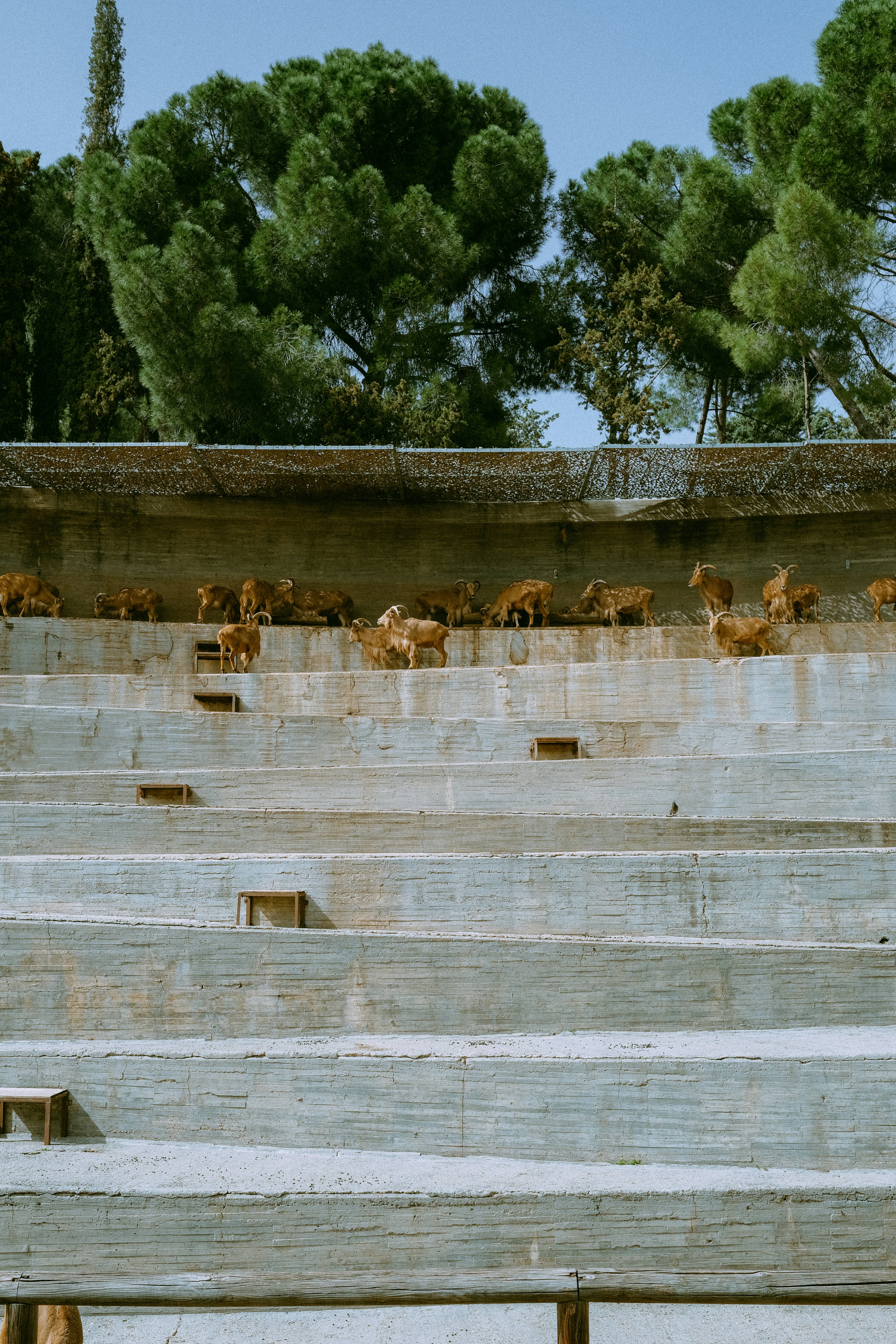 Photo by NuKi Chikhladze with Fujifilm X-T30