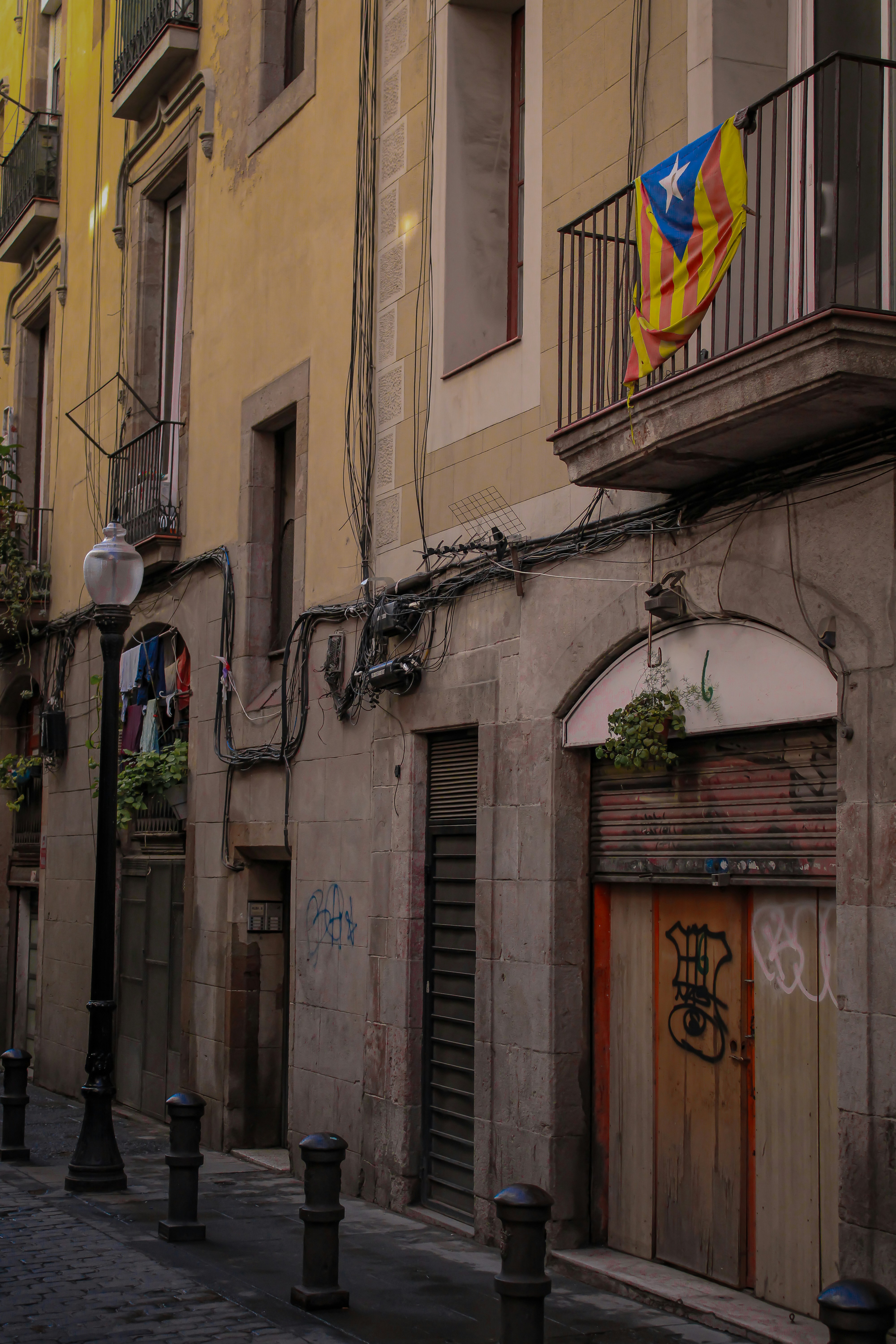 Photo by Stevo with Canon EOS 2000D