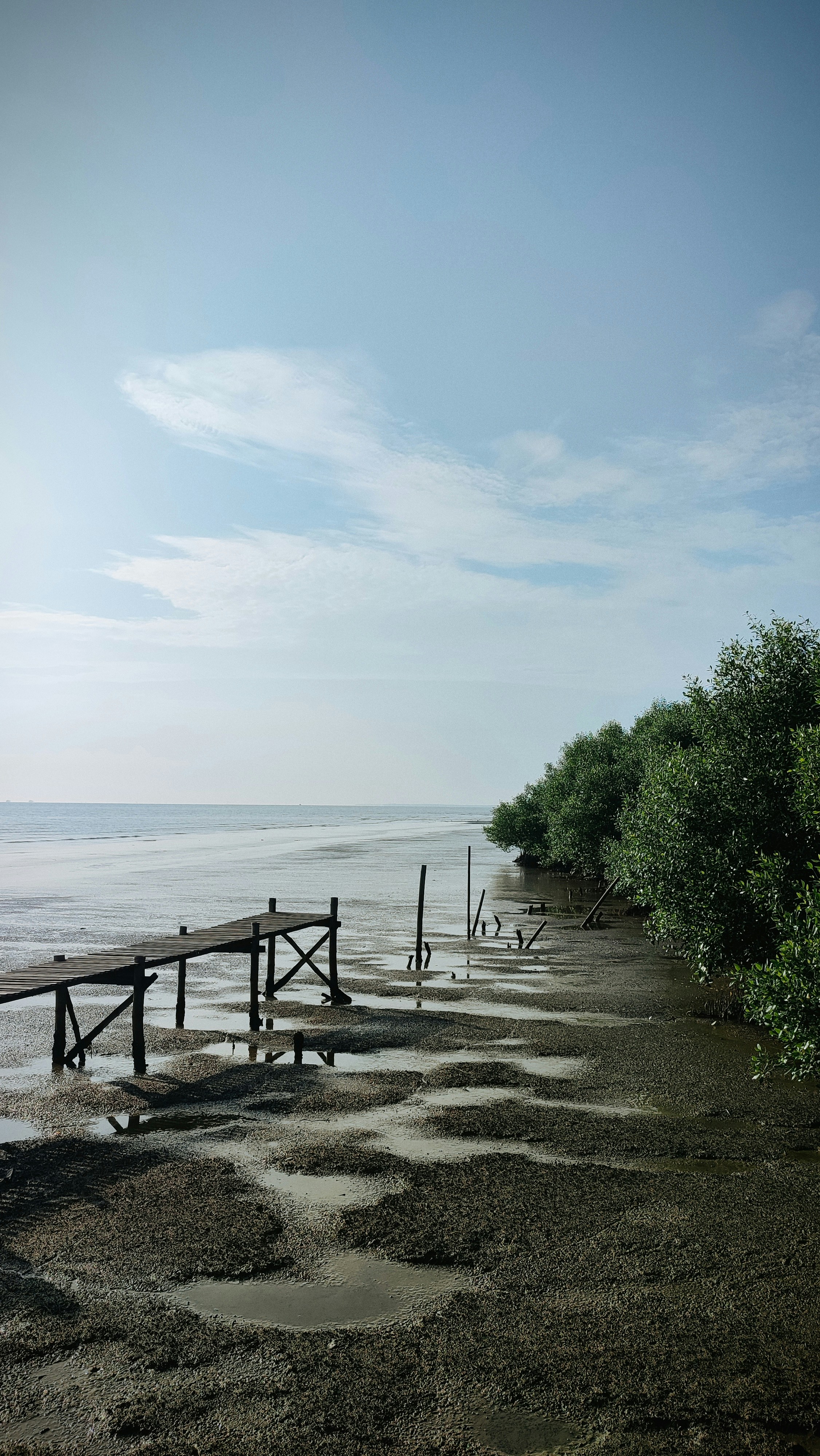 Shallow mudflats with a weathered wooden railing extend toward the horizon. Dense mangroves line the right edge under a clear blue sky.