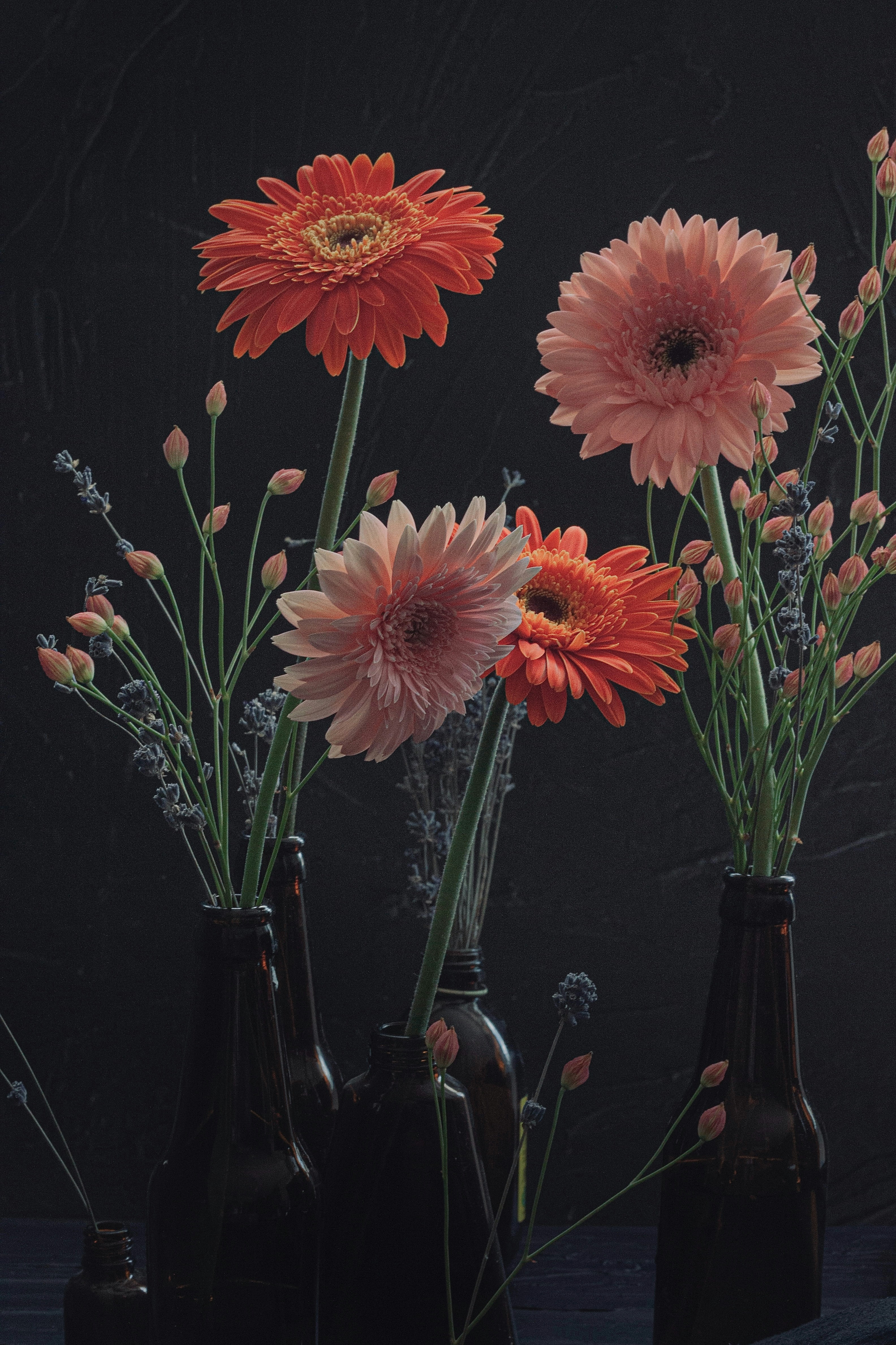 A group of three vases with flowers in them photo – Free Wallpapers ...