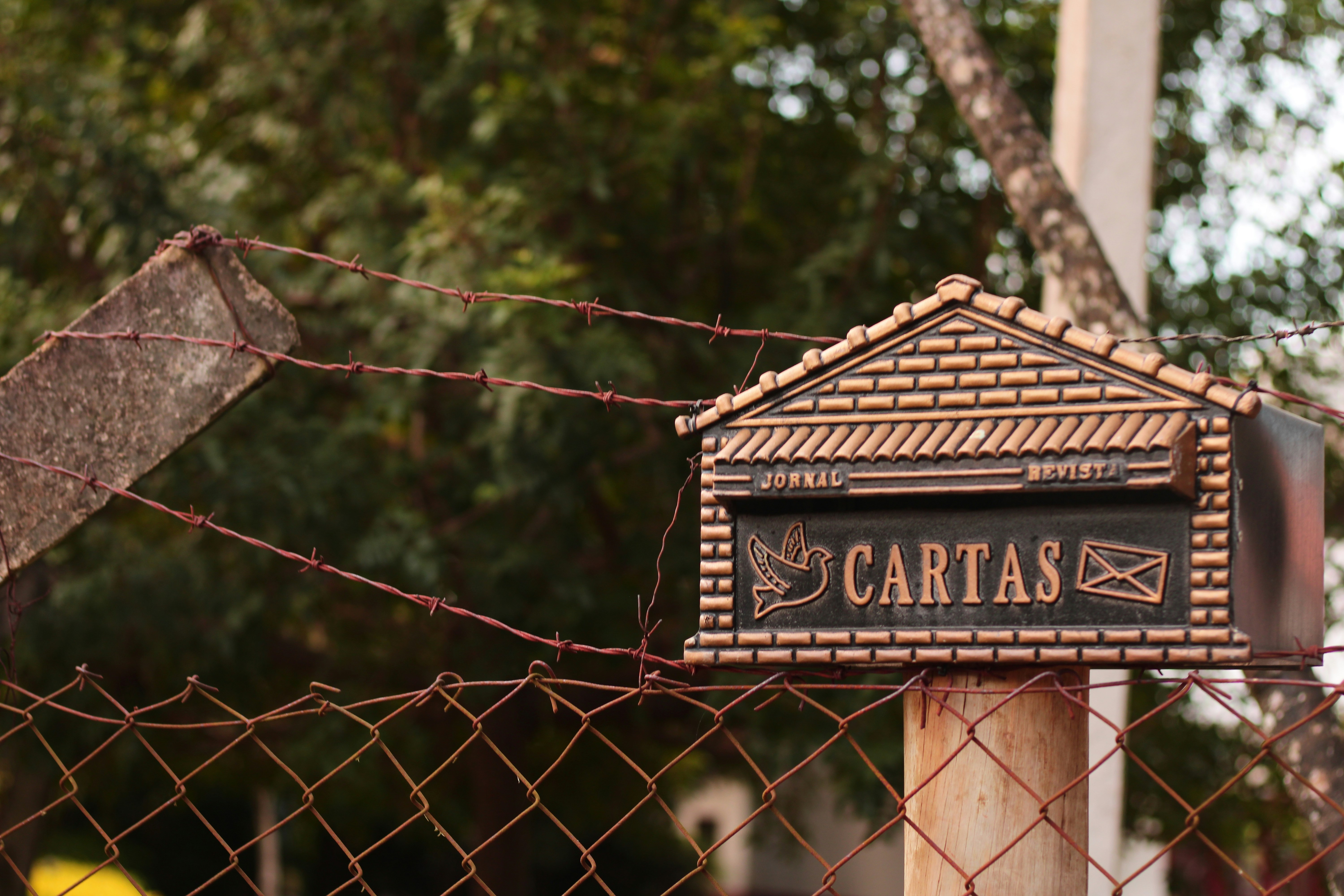 Cataz.org Pictures | Download Free Images on Unsplash