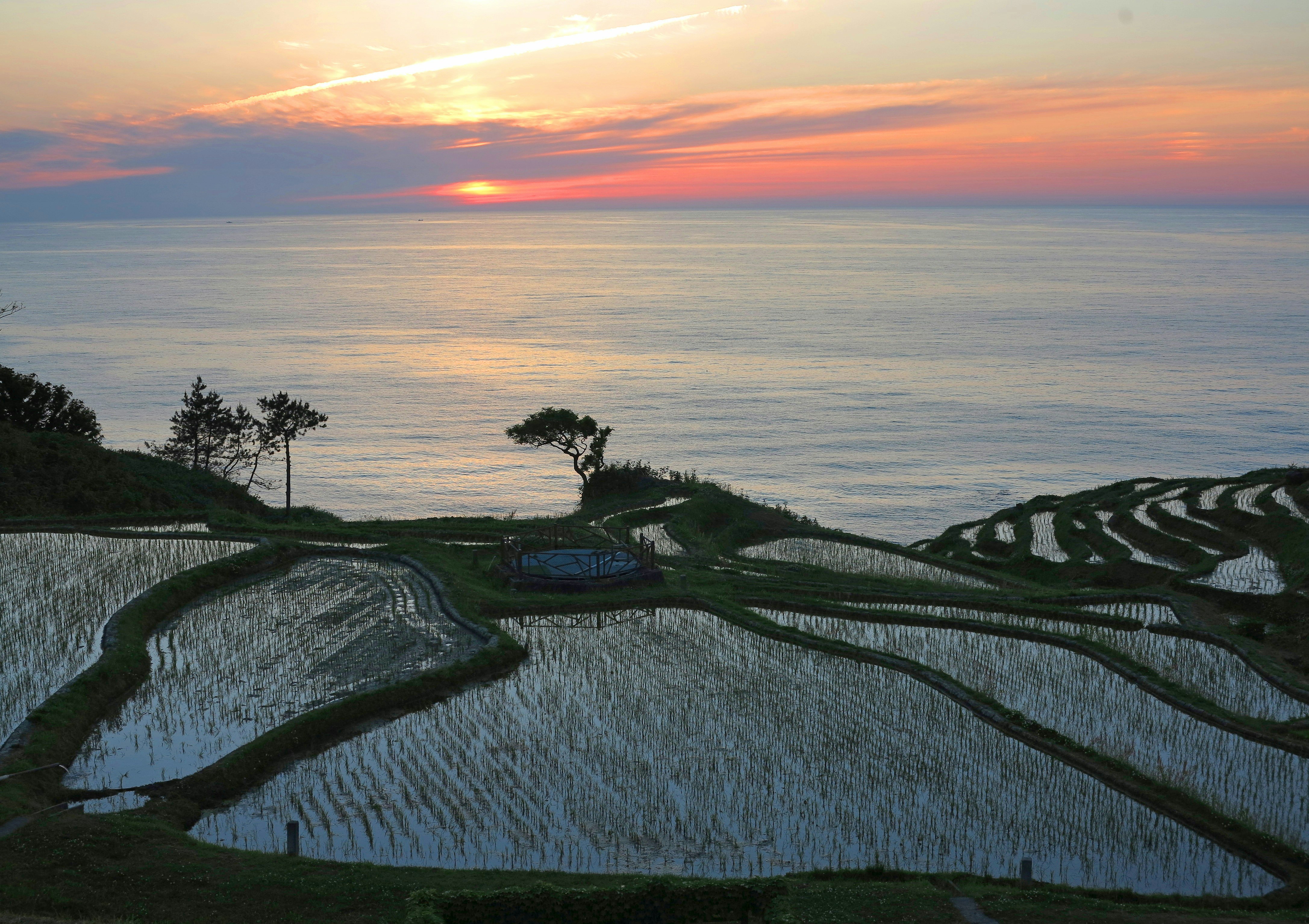 Terraced Rice Fields Curl Toward a Quiet Horizon at Sunset