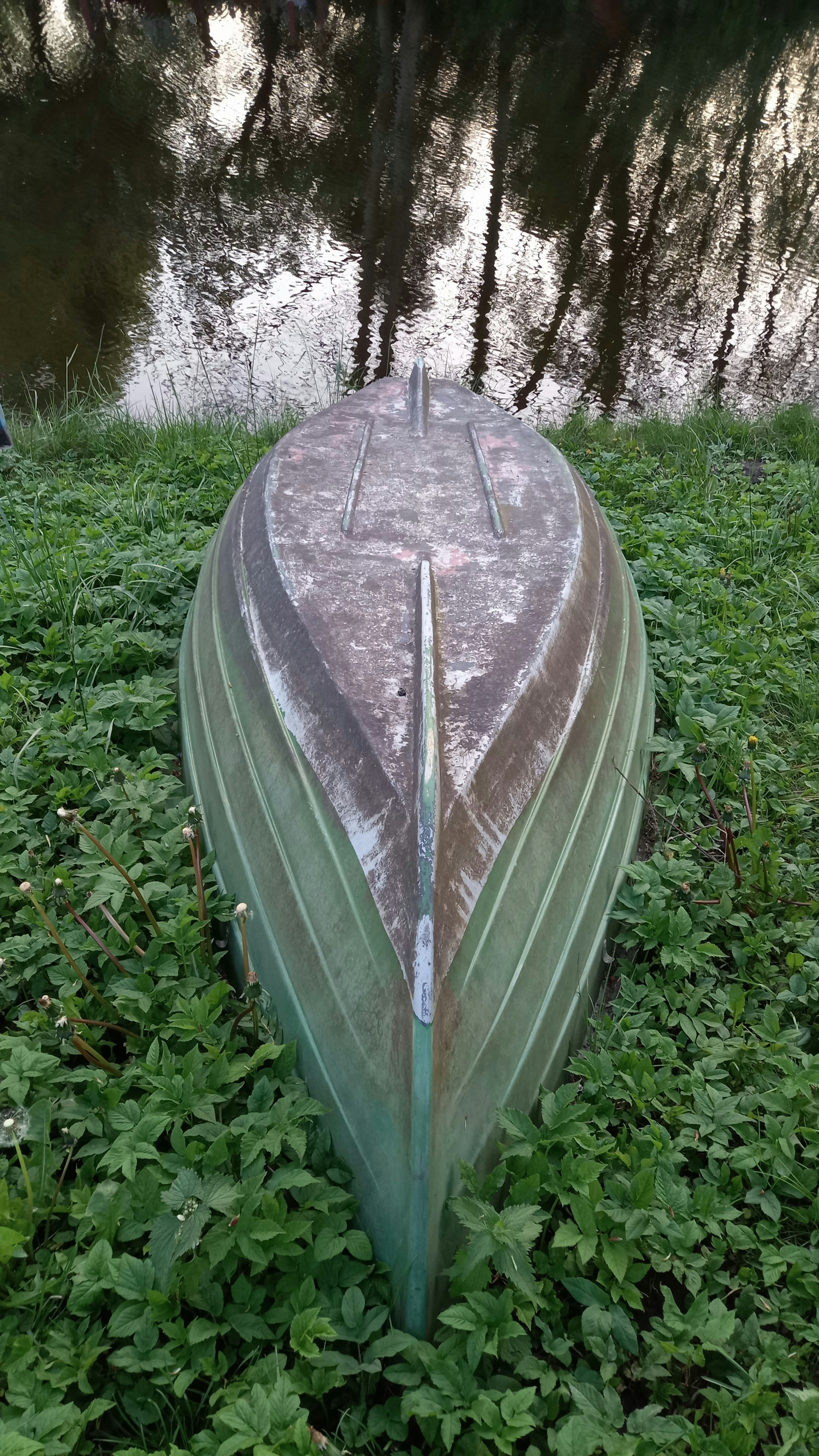 A weathered canoe rests upright among dense ivy by a calm river, with tree reflections shimmering on the water.