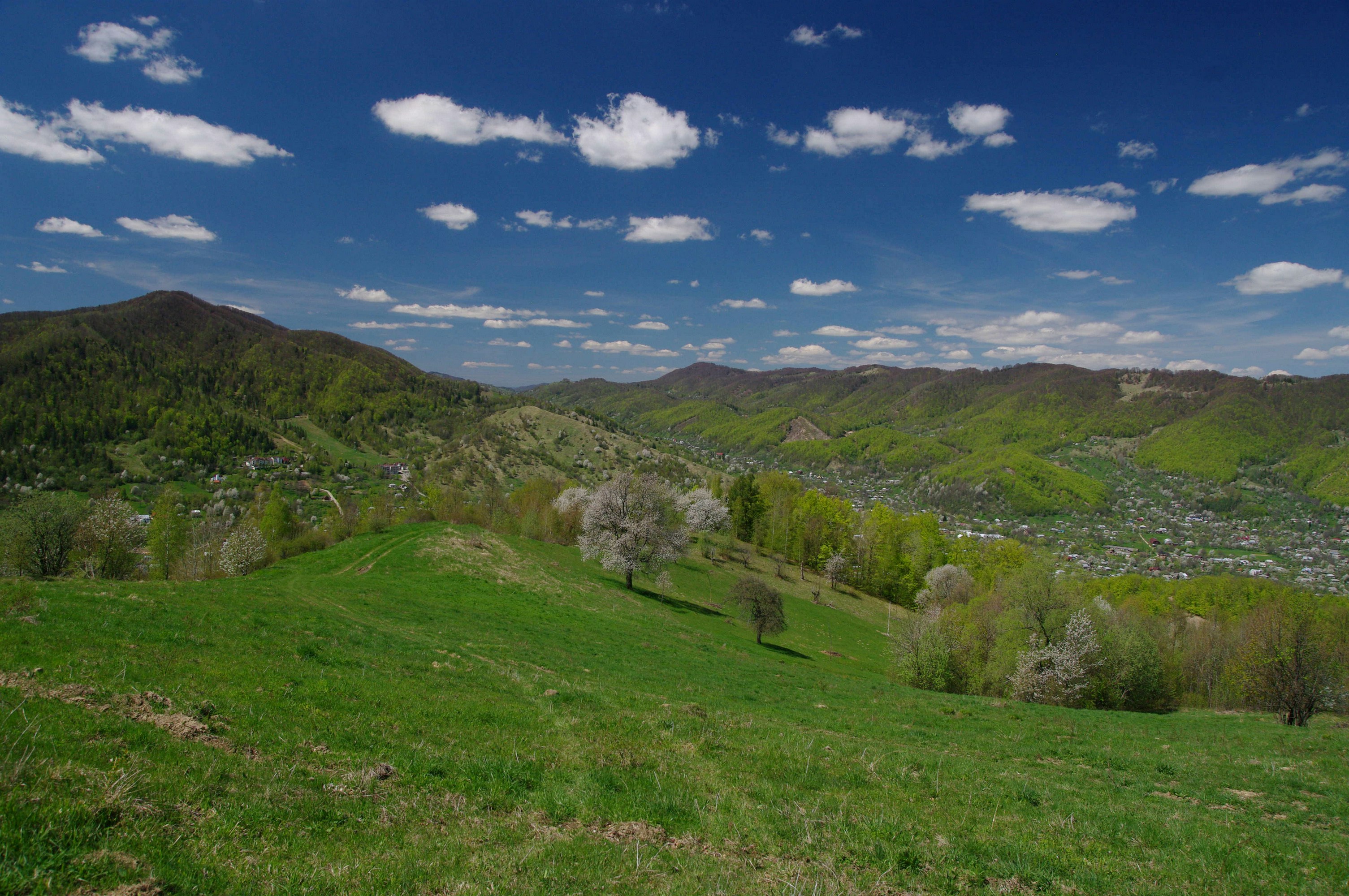 Rolling green hills rise toward a distant valley village, dotted with white-blossomed trees under a bright blue sky in a landscape photograph.