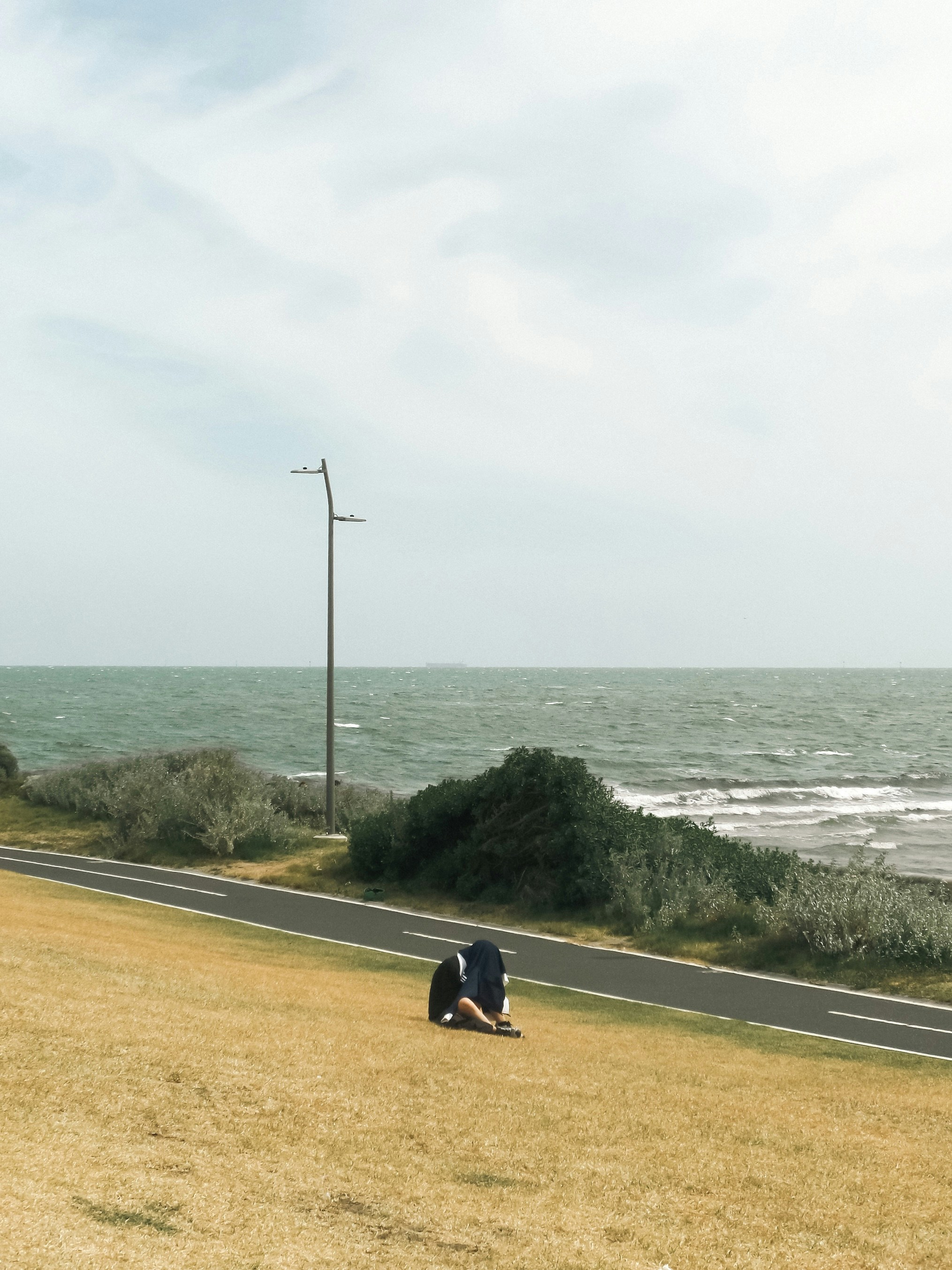 Lone Seeker on the Grass: A Quiet Moment by the Sea