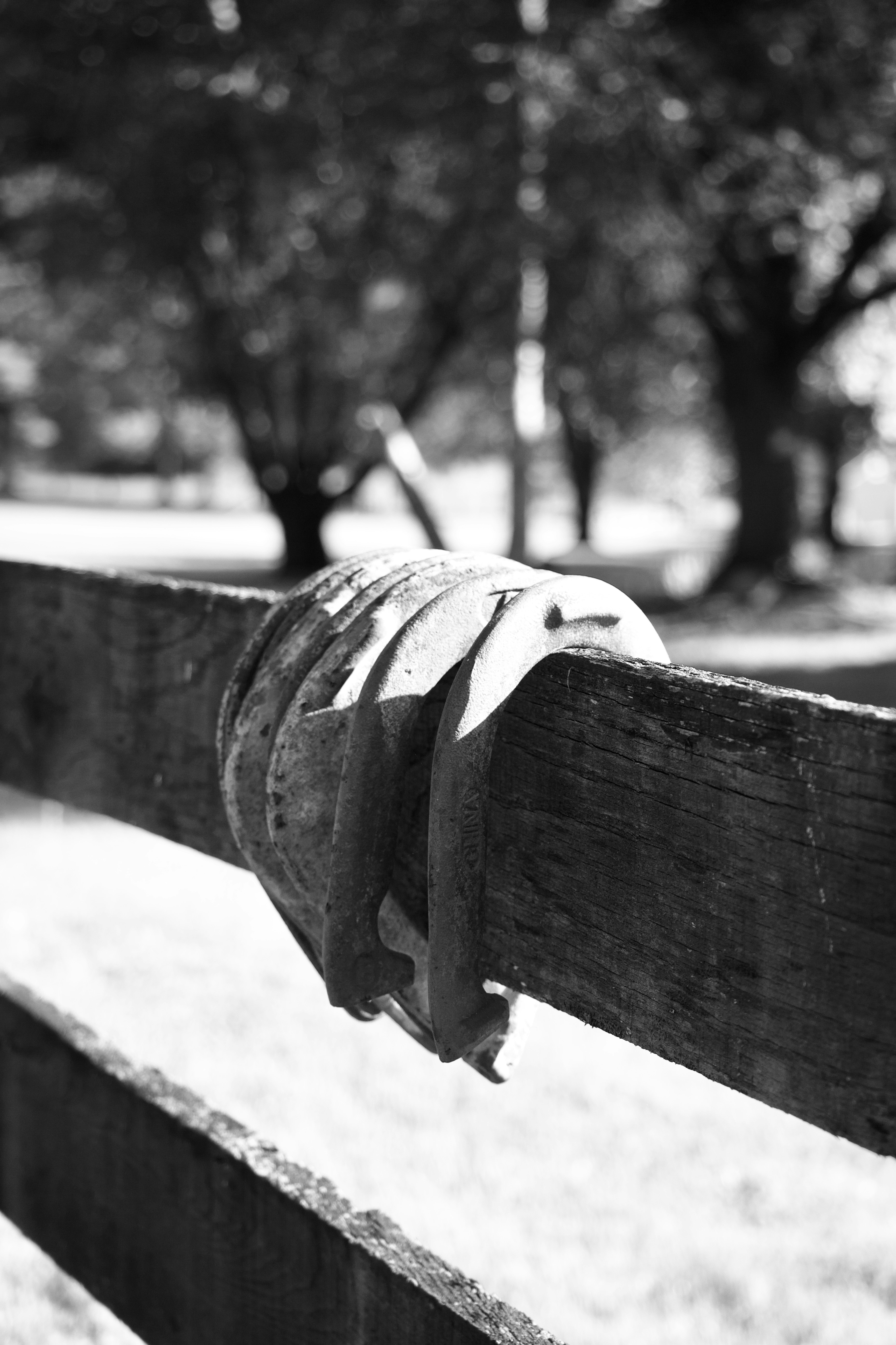 The Weathered Clamp That Holds Time to a Park Fence