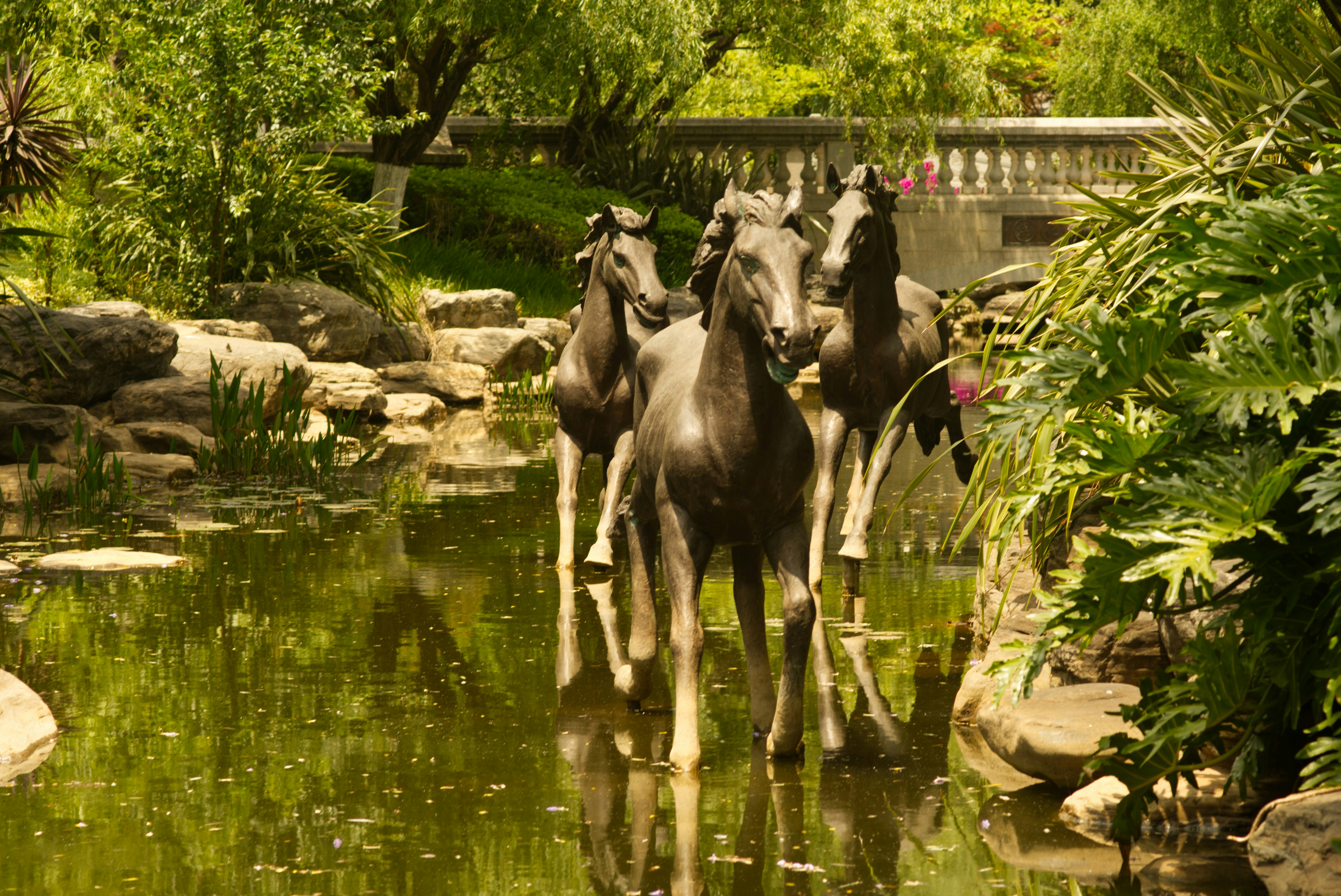 Sunlit Quartet Crossing a Garden Pond