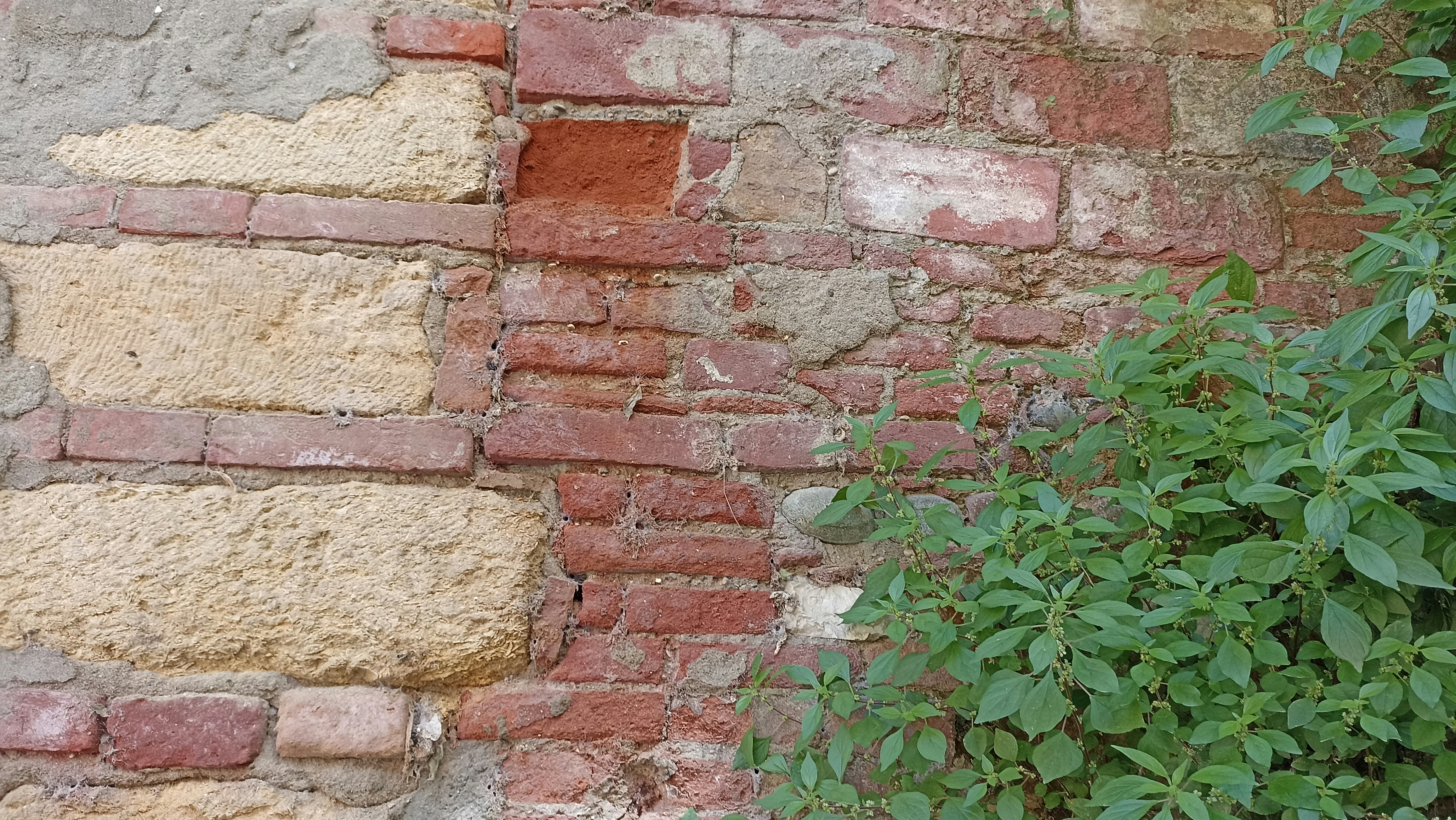 Photo by Thomas Vogel with Xiaomi Redmi Note 10S