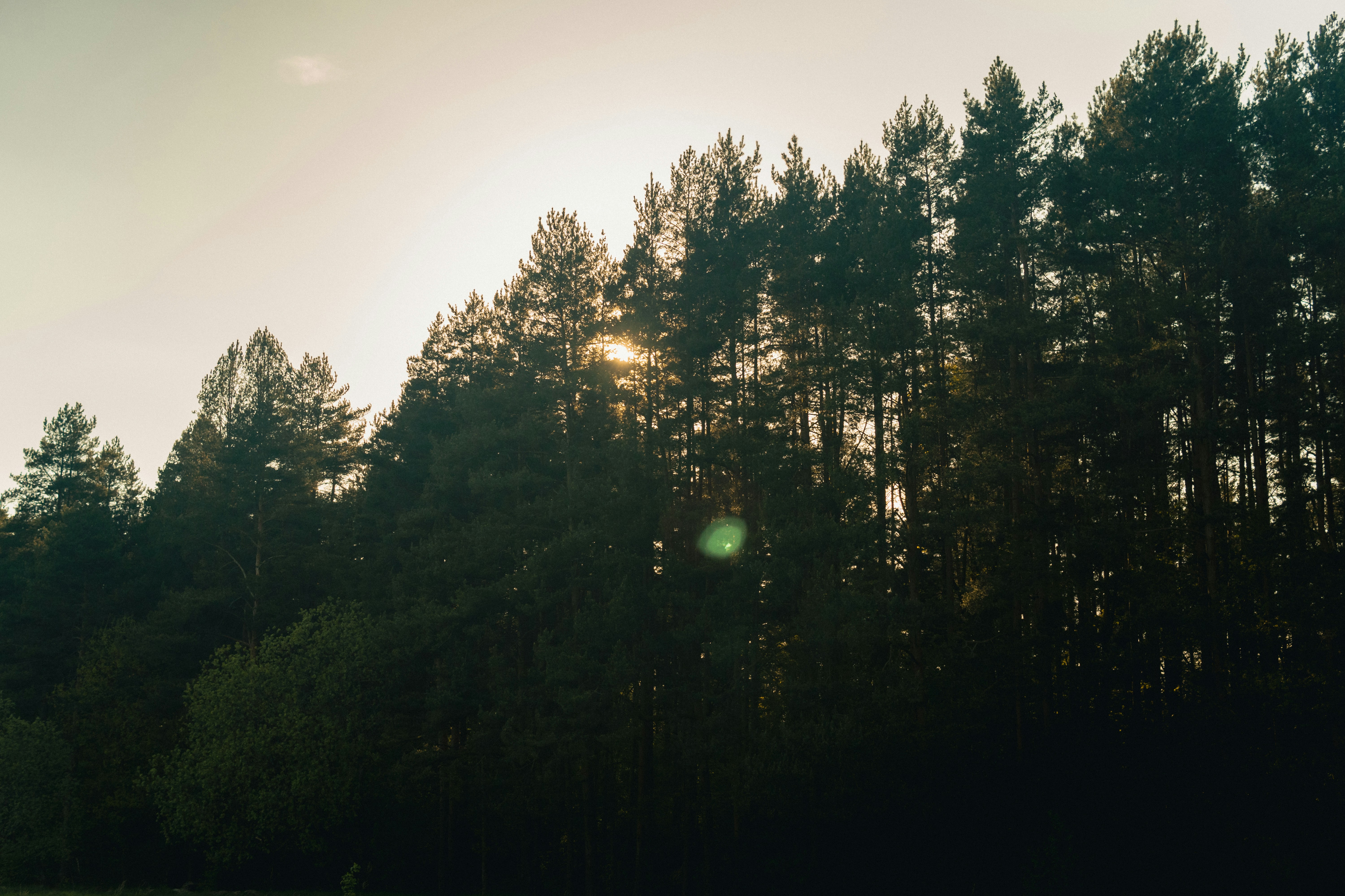 Photo by Artem Polezhaev with Sony Alpha 6400