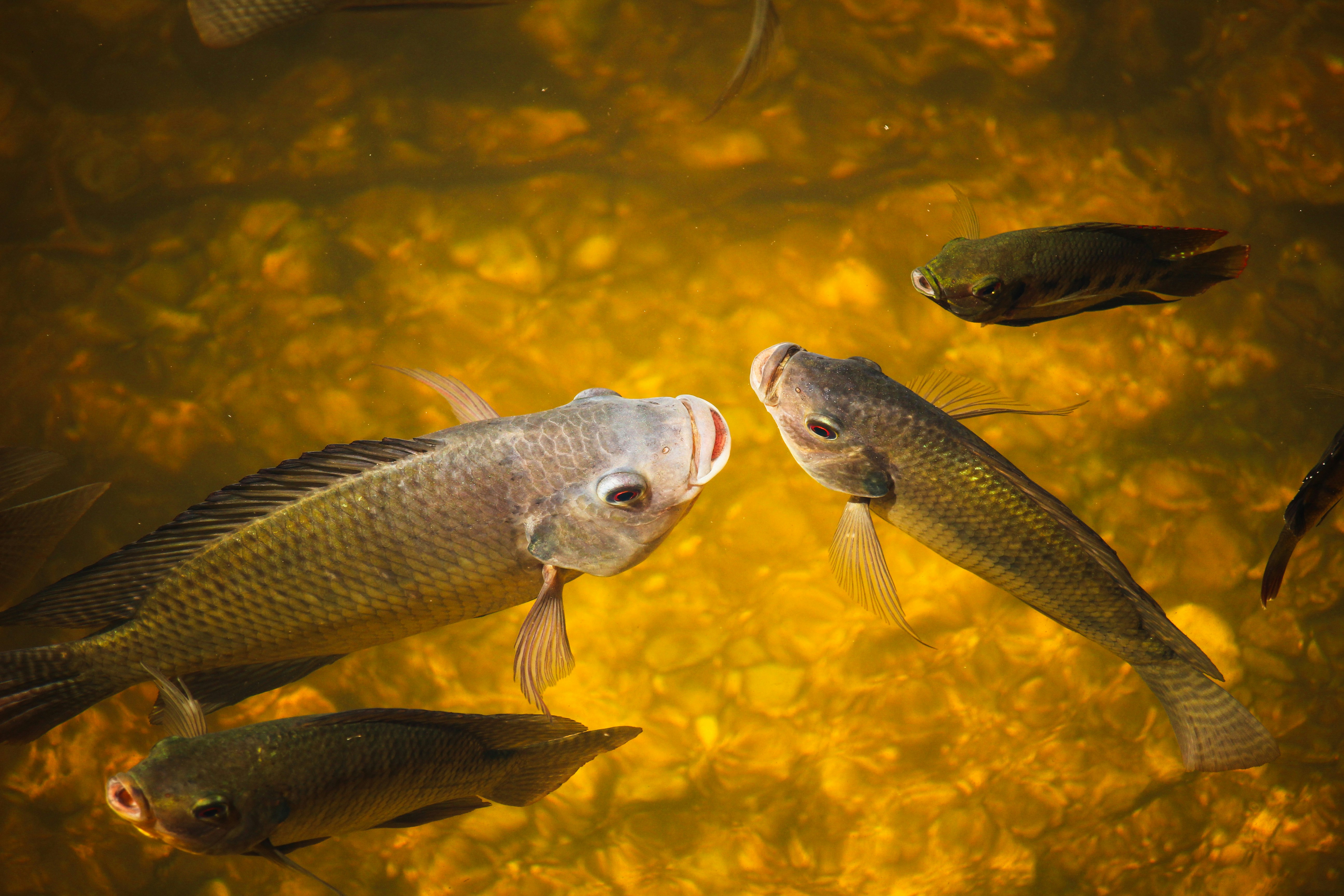 Photo by Blue Hound with Canon EOS 100D