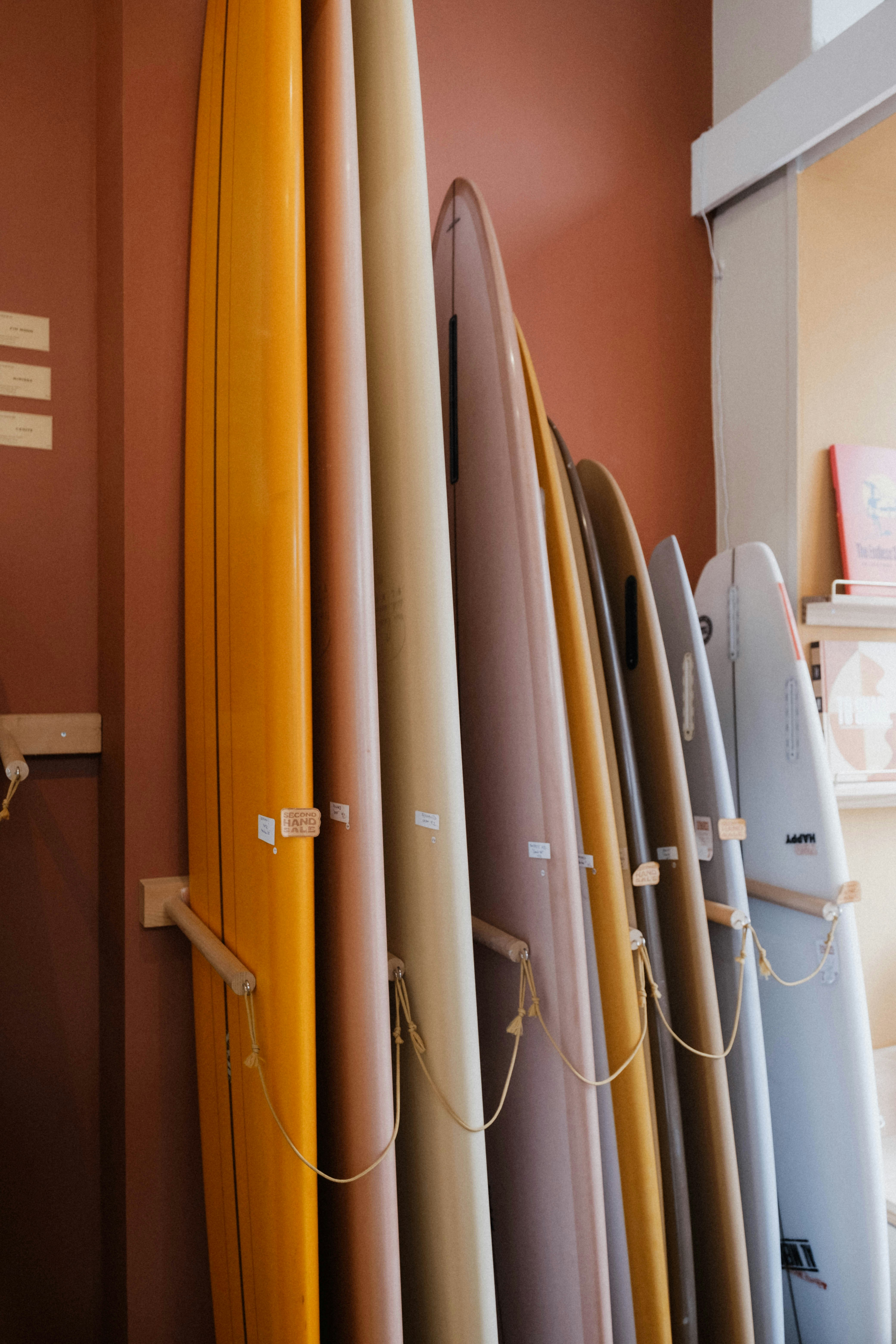 A row of surfboards sitting next to each other photo – Free Wallpapers ...