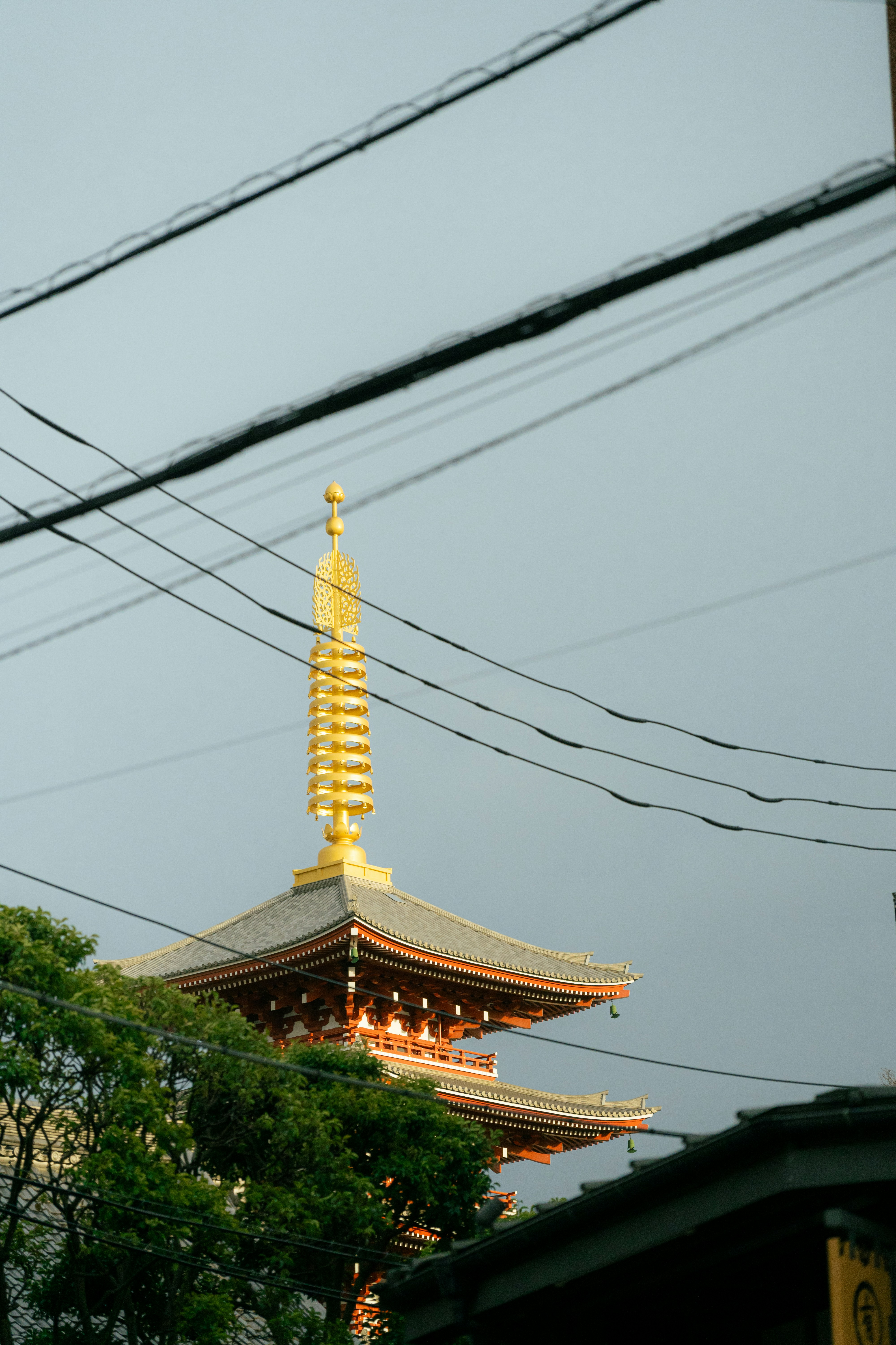 Gold Finial Through the Wire Veil: A Temple's Quiet Moment in a Modern Grid