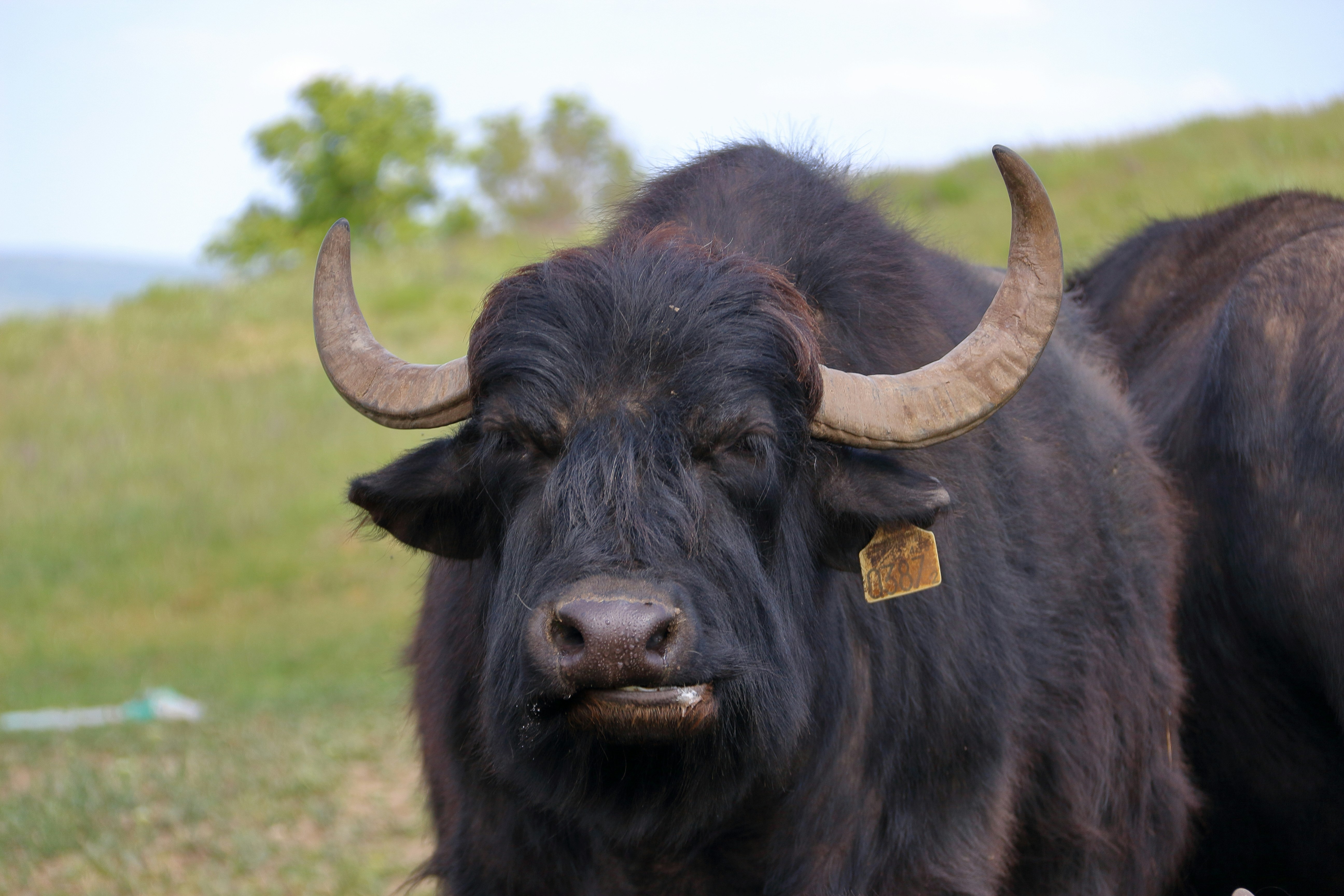 Photo by Timi Gaier with Canon EOS 650D