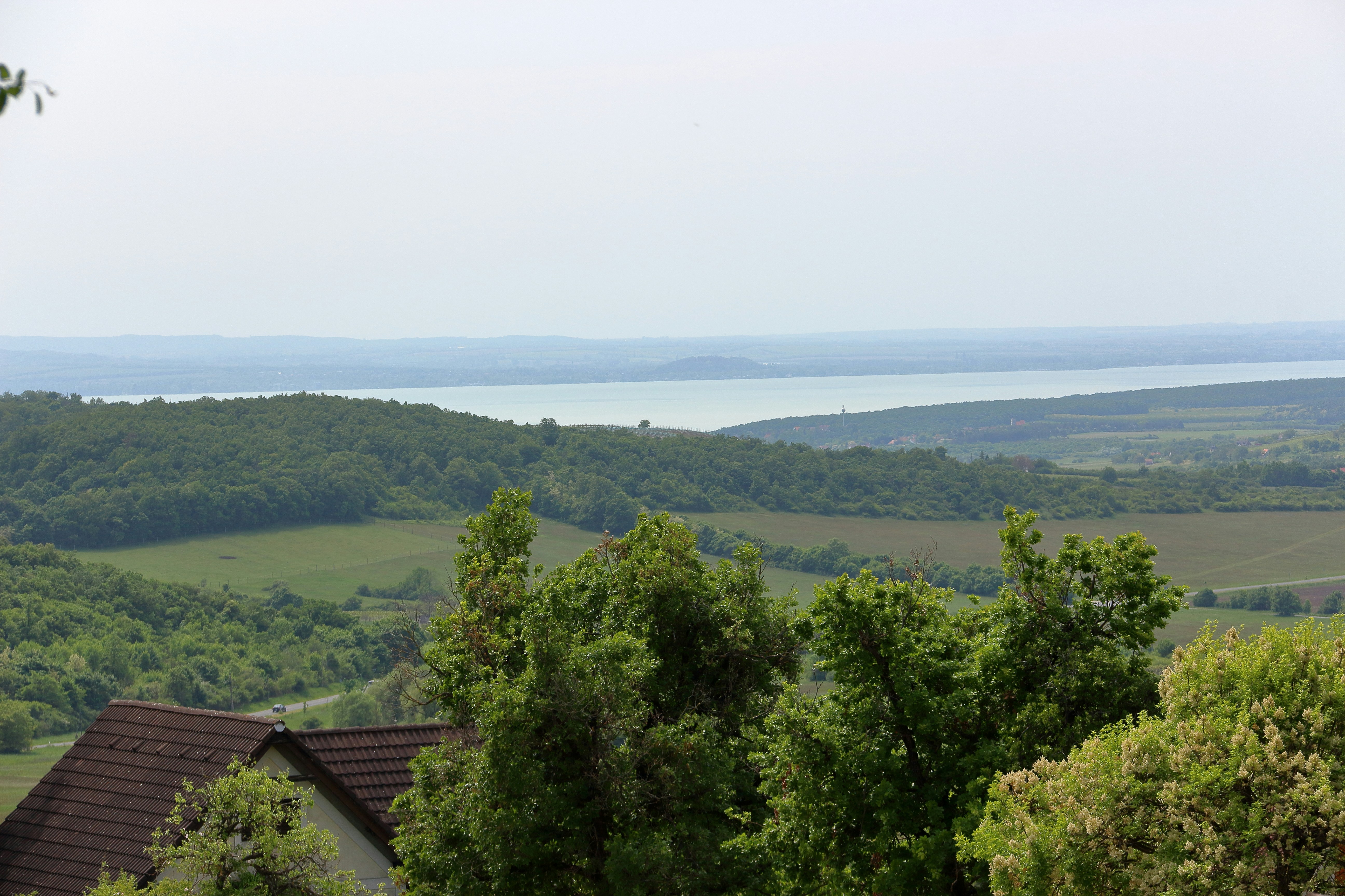Rolling green hills leading to a distant, calm body of water under an overcast sky.