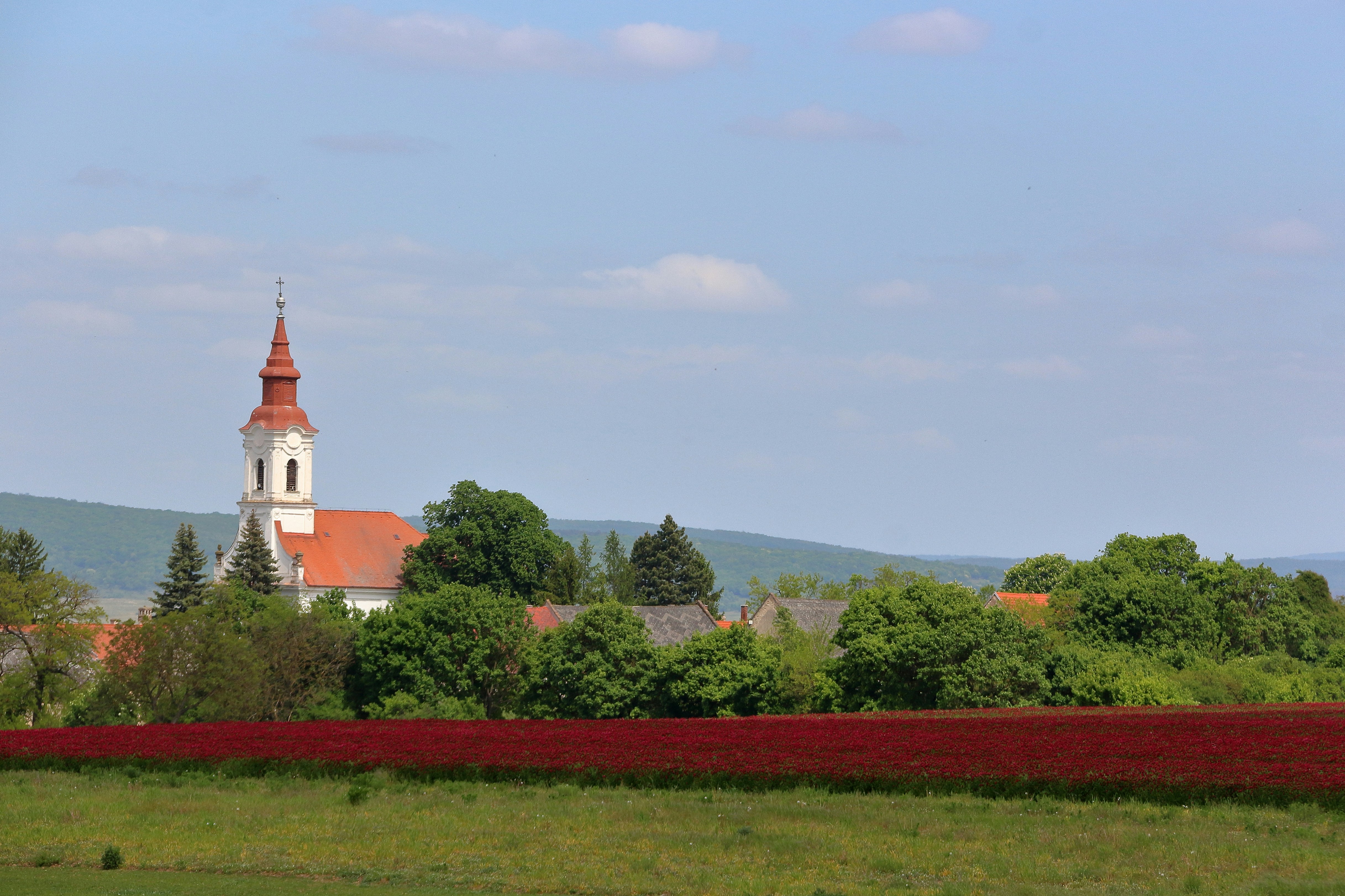 Crimson Foreground, Red-Roofed Spire: A Quiet Village Panorama