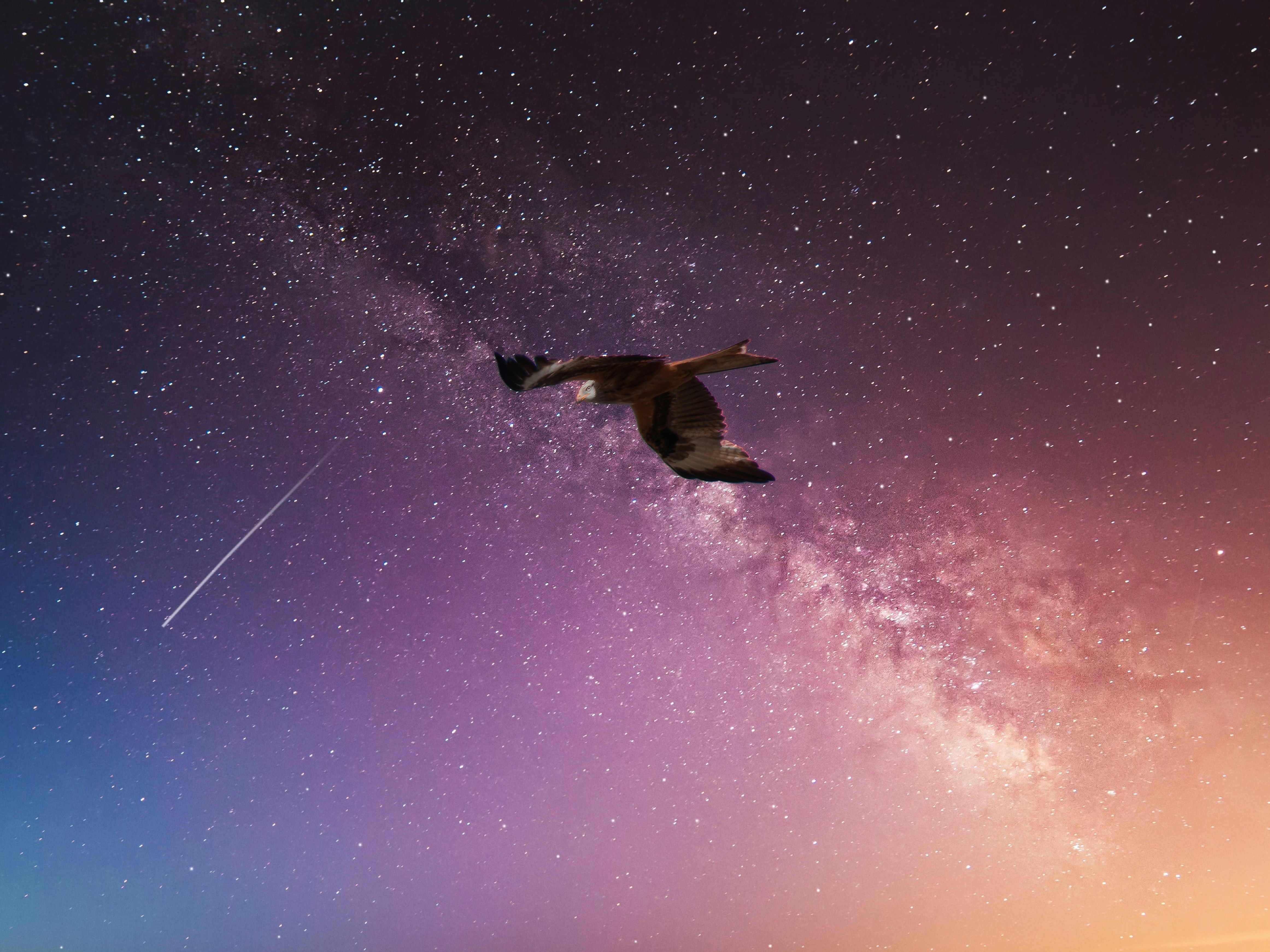 Winged silhouette beneath the Milky Way as a meteor traces the night