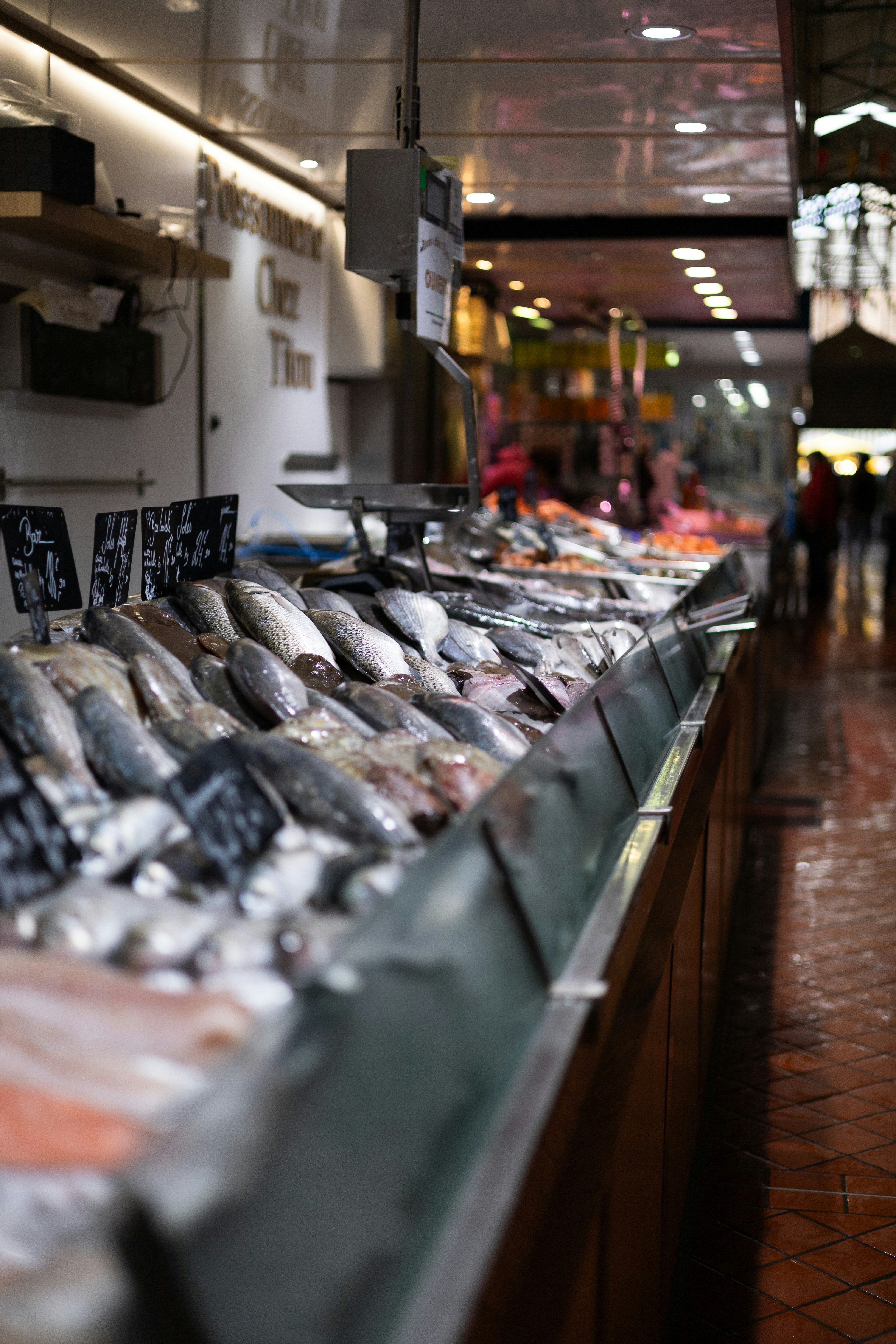 A bunch of fish that are on a table photo – Free La rochelle Image on ...