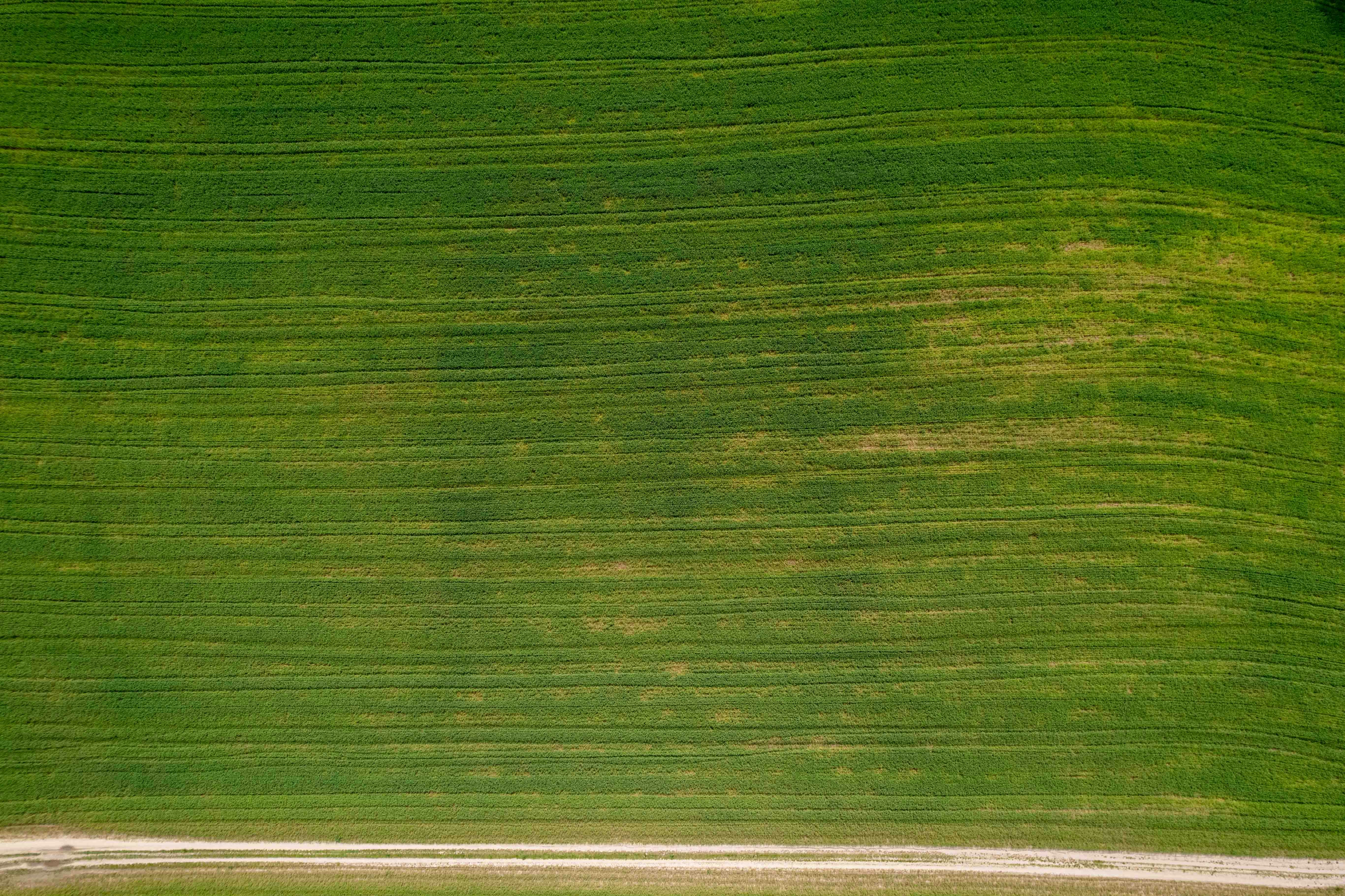 Aerial view of a lush green field intersected by a straight white path.