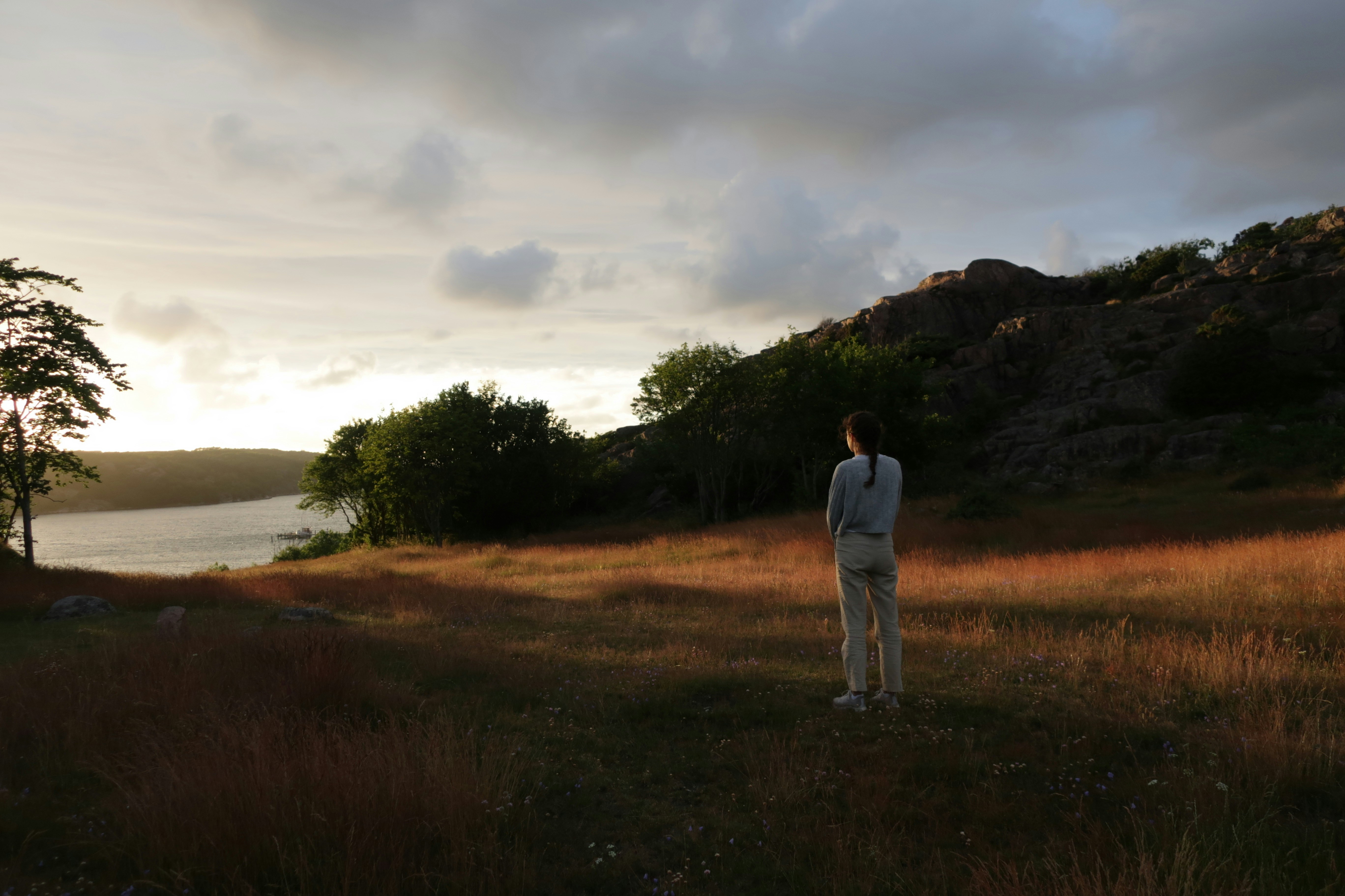 Lone Figure at Dusk Over a Quiet Lakeside Meadow