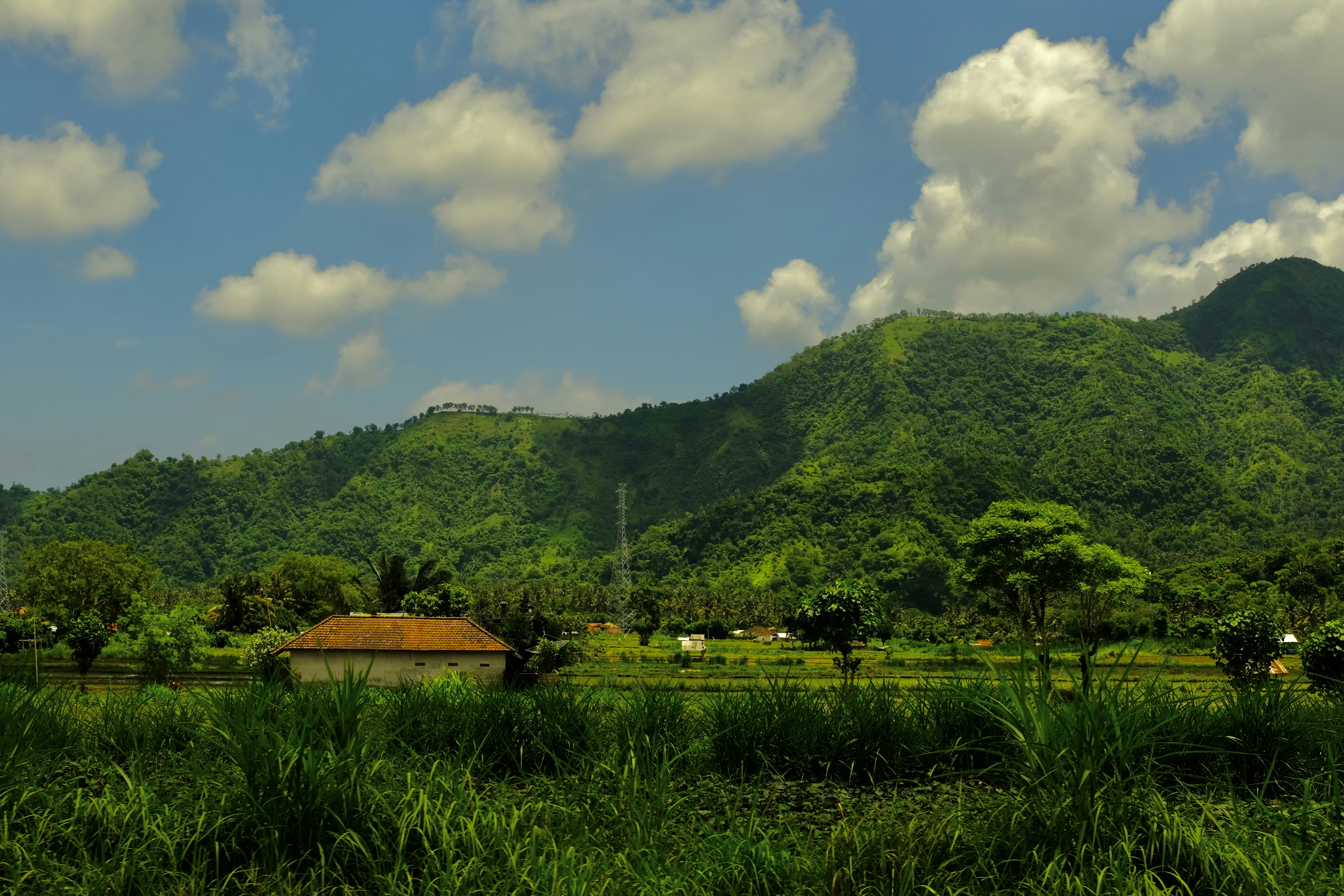 Lush green hills rise majestically behind a quaint farmhouse, framed by vibrant fields and a bright blue sky dotted with fluffy clouds.