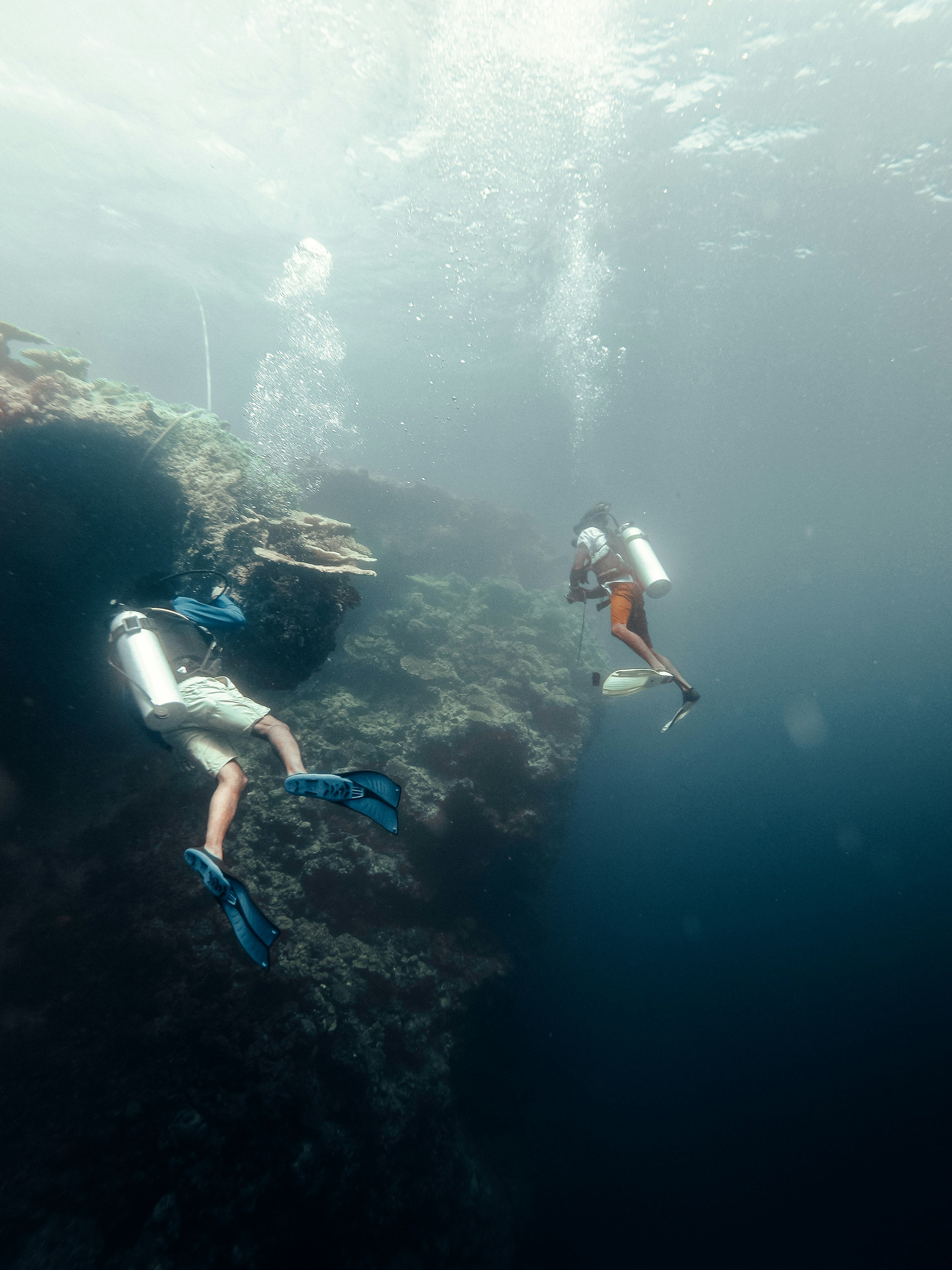 Two people diving in the ocean with scuba gear photo – Free Gulhi Image ...