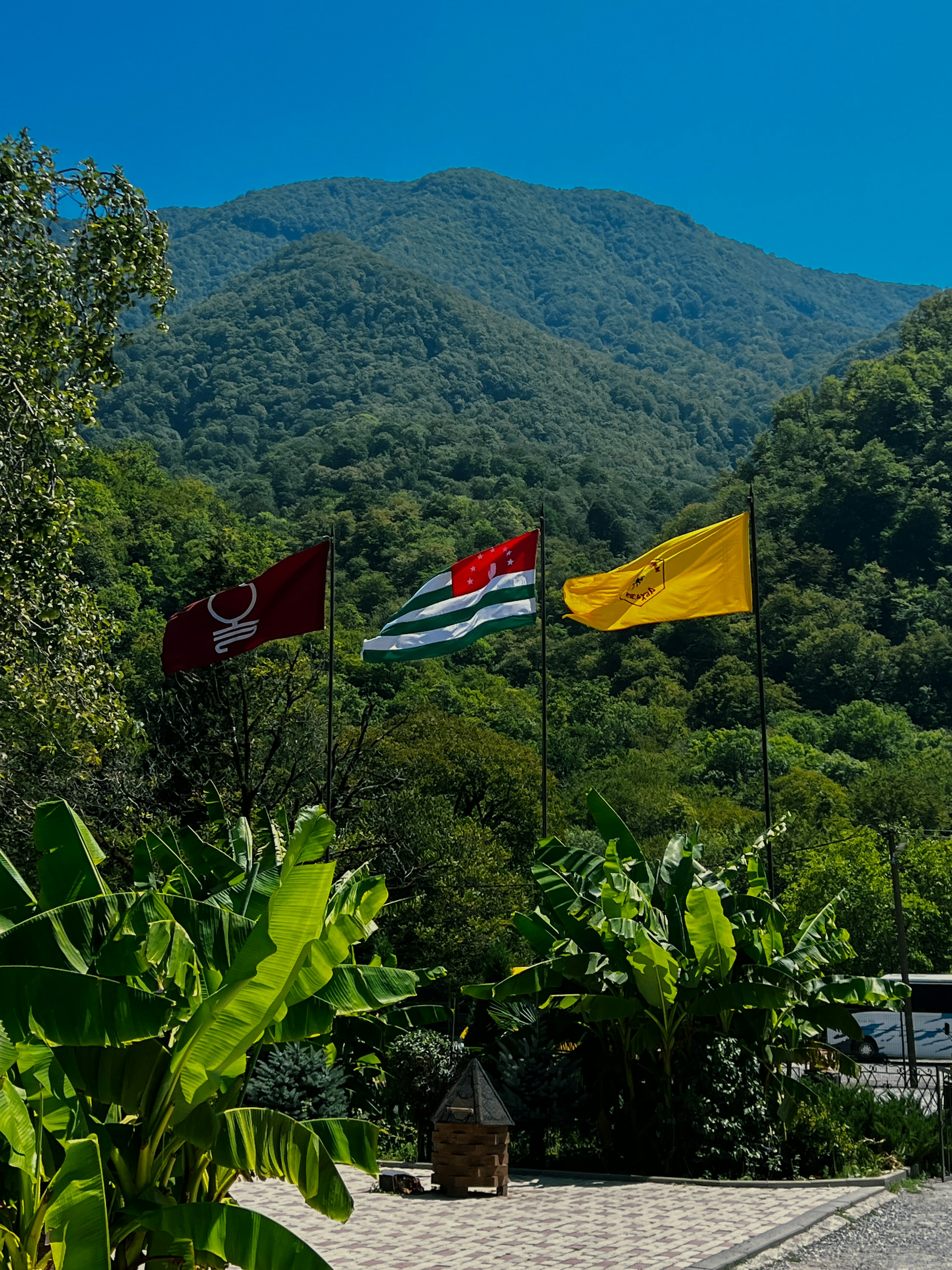 Flagline Over Emerald Terrace: A Trio of Banners Framing a Forested Mountain Panorama
