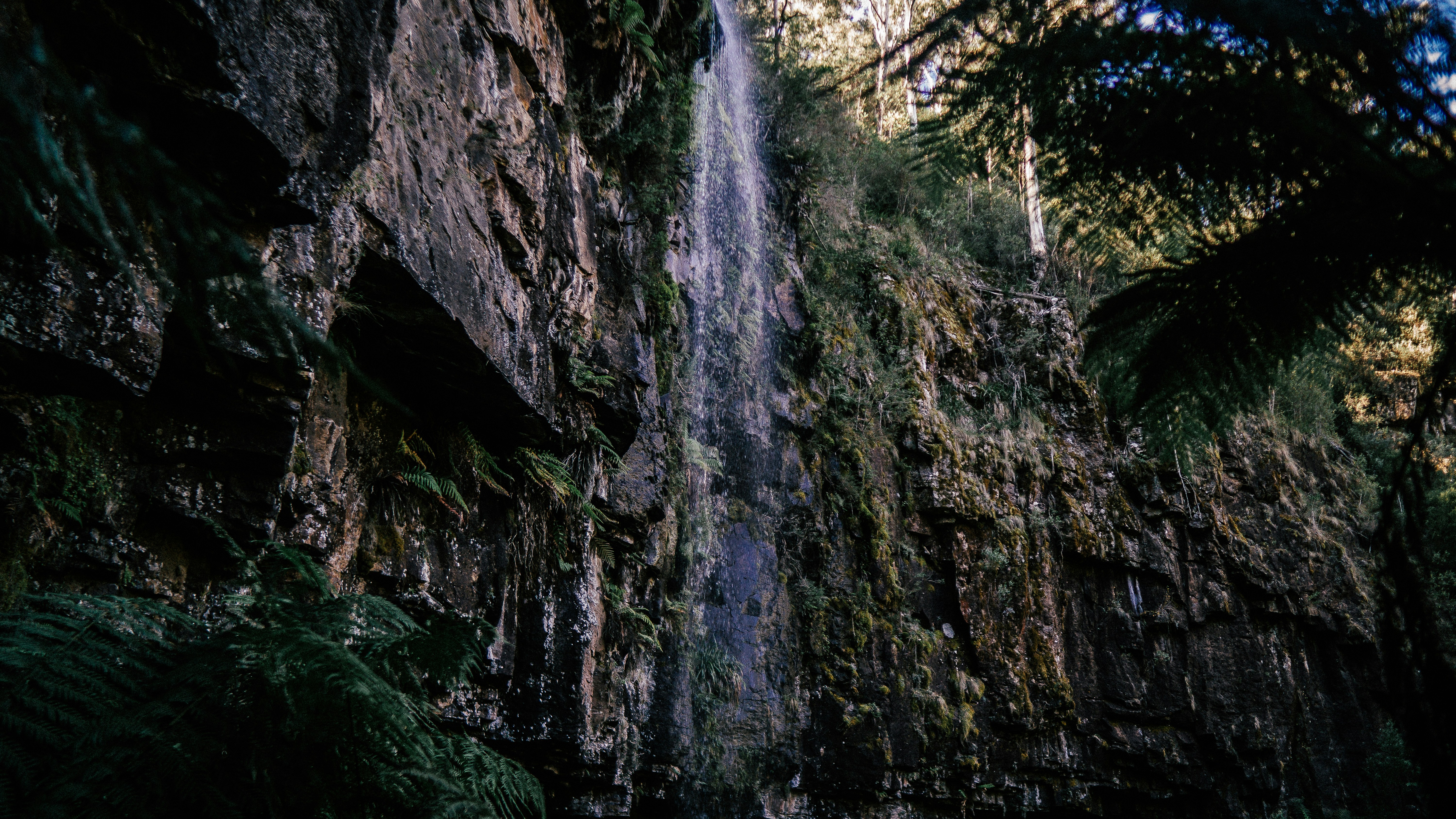 Whispering Cascade Along a Fern-Clad Cliff