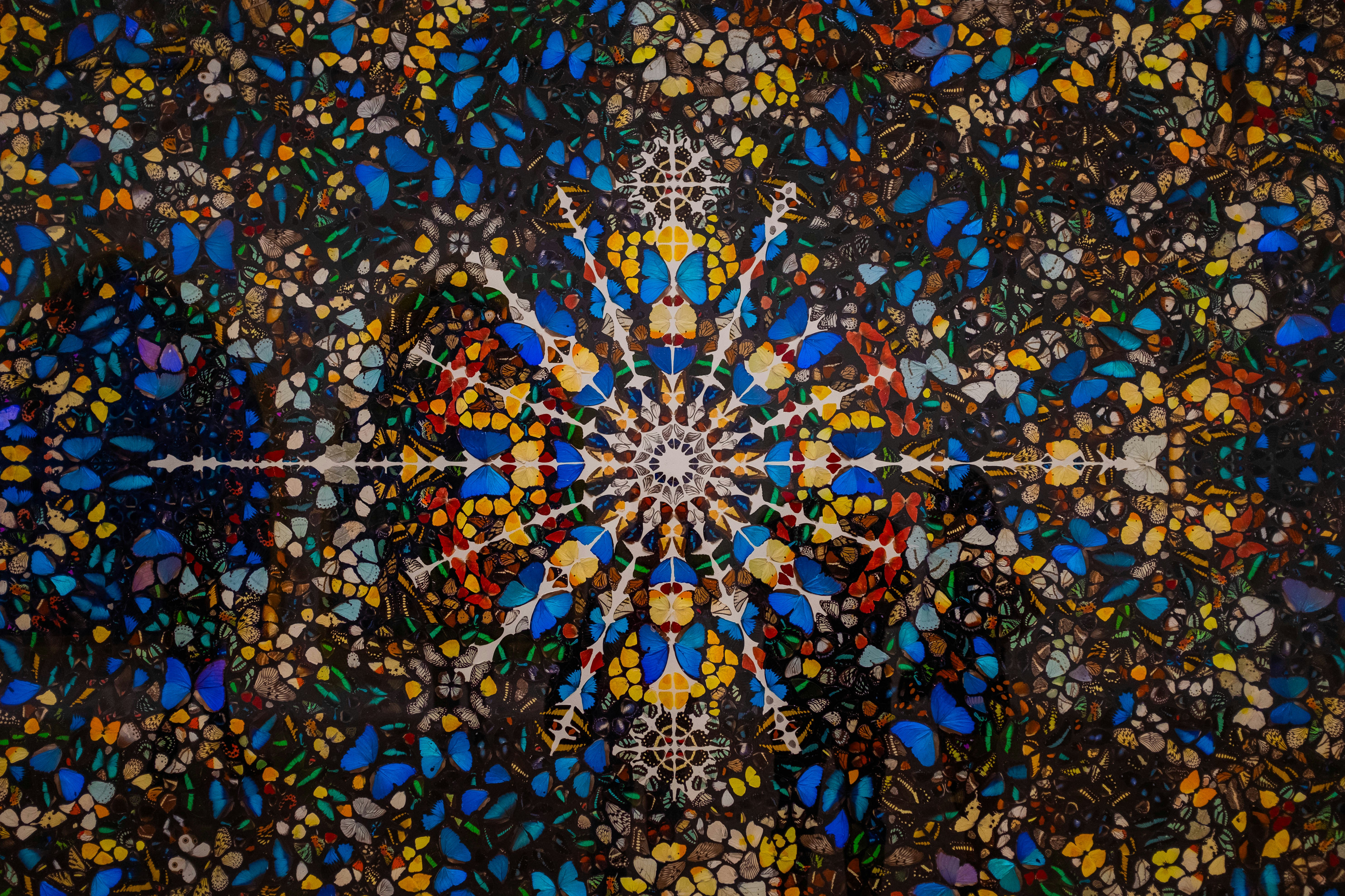 Photo by Mauro Romero with Fujifilm X100F