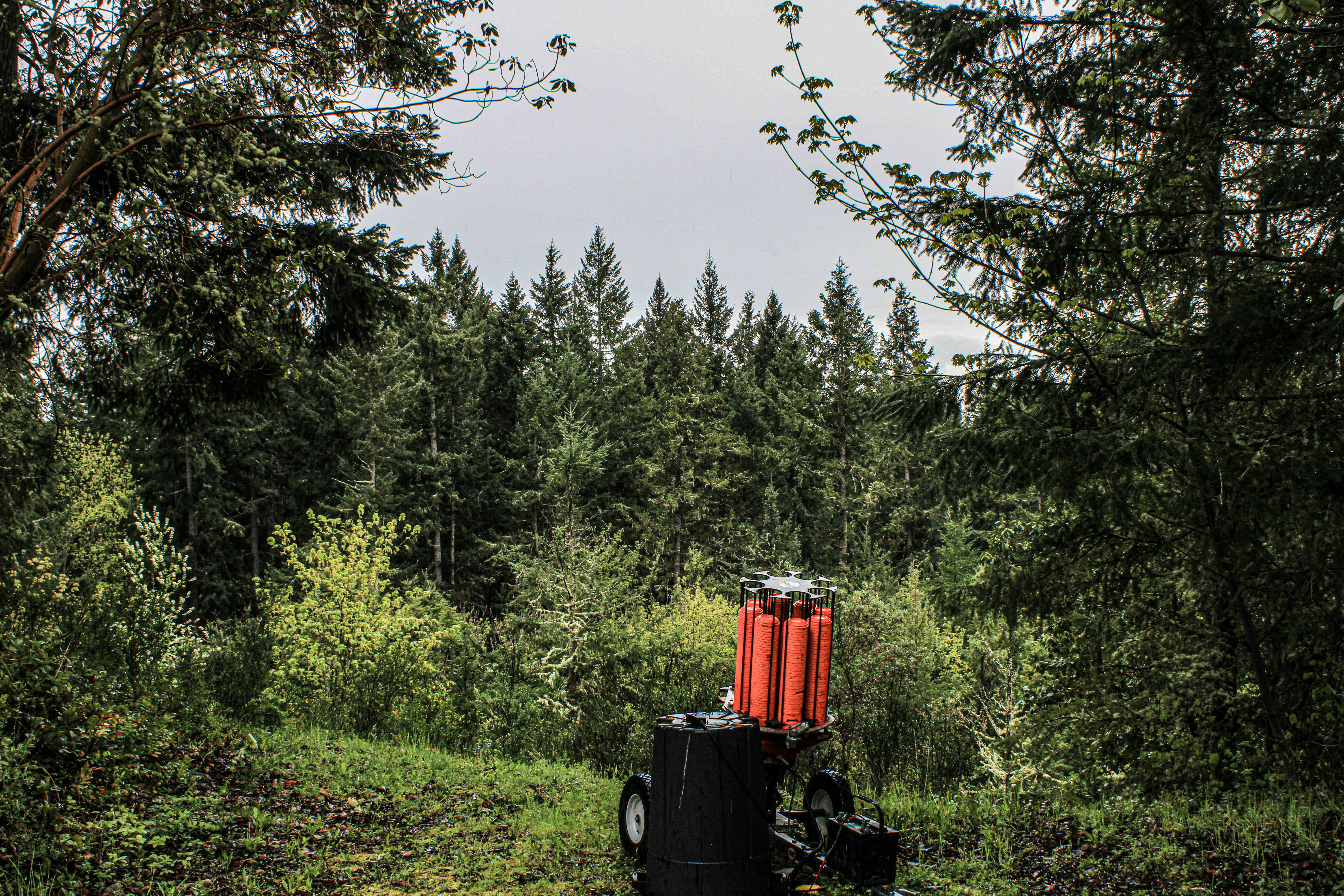 Orange Cylinders on a Wheeled Pump Rig in a Mossy Pine Clearing