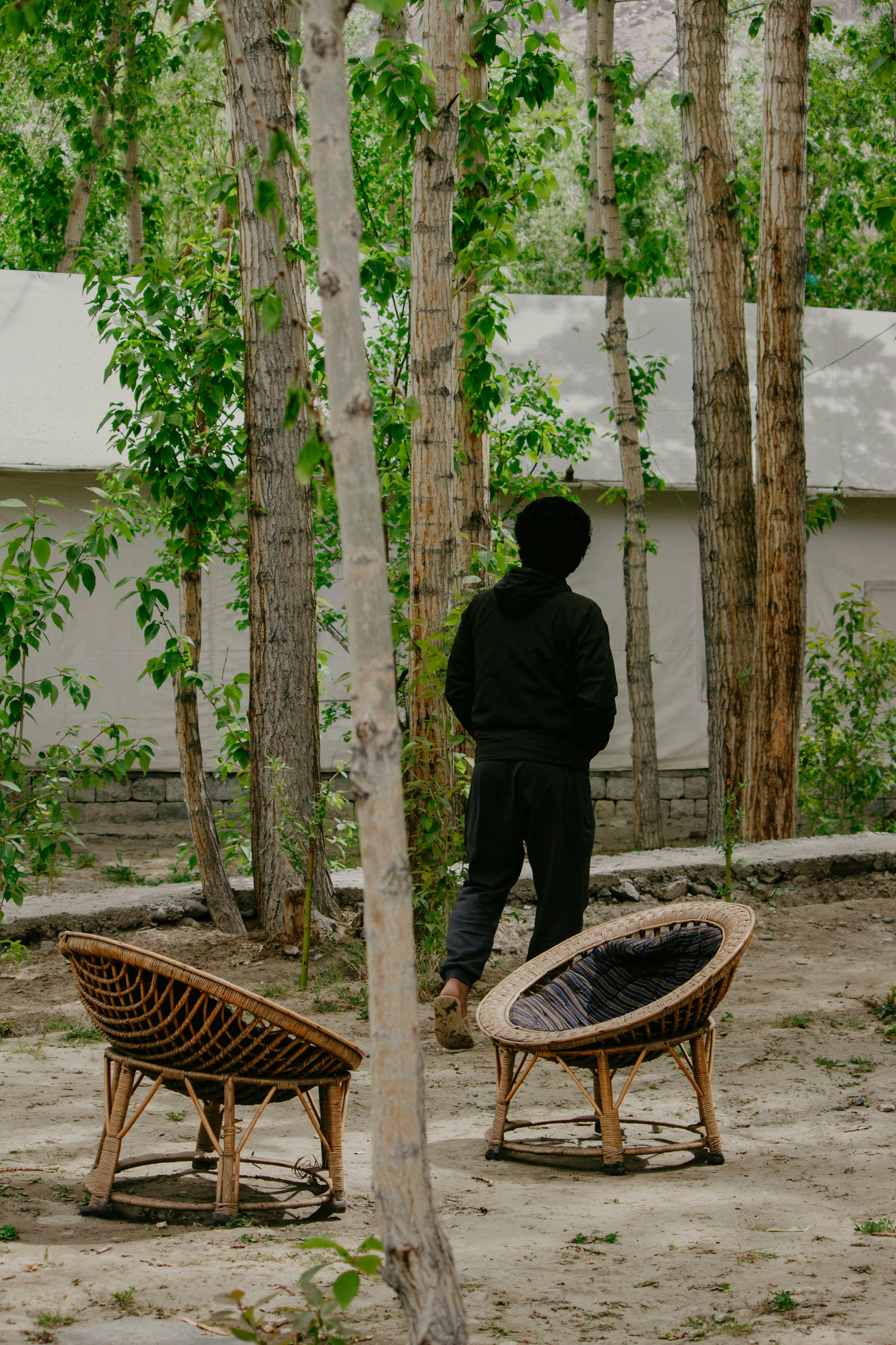 Between Trunks and Woven Seats: A Quiet Figure in the Courtyard