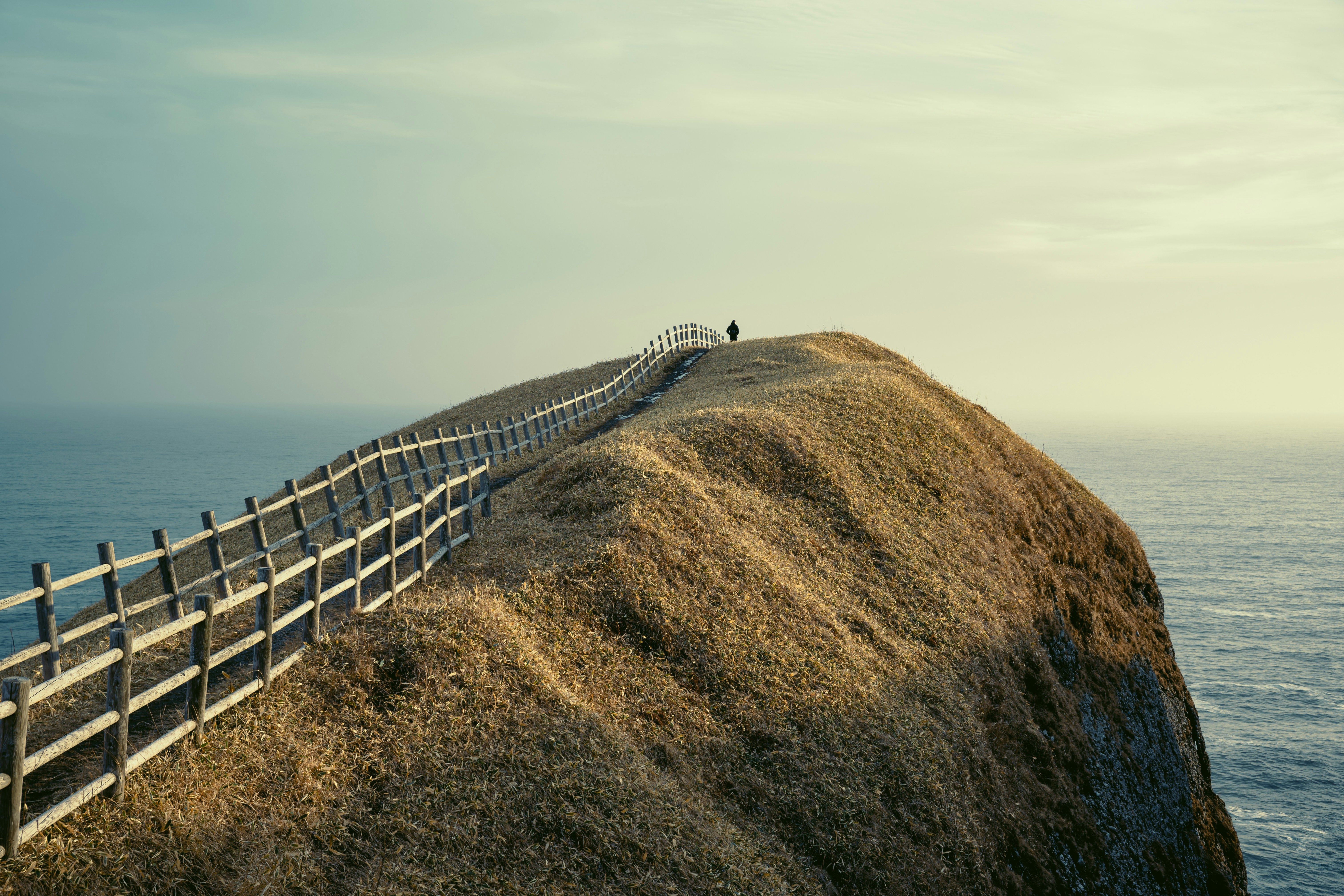 Swift Cliff Path: A Seabound Promenade to the Horizon