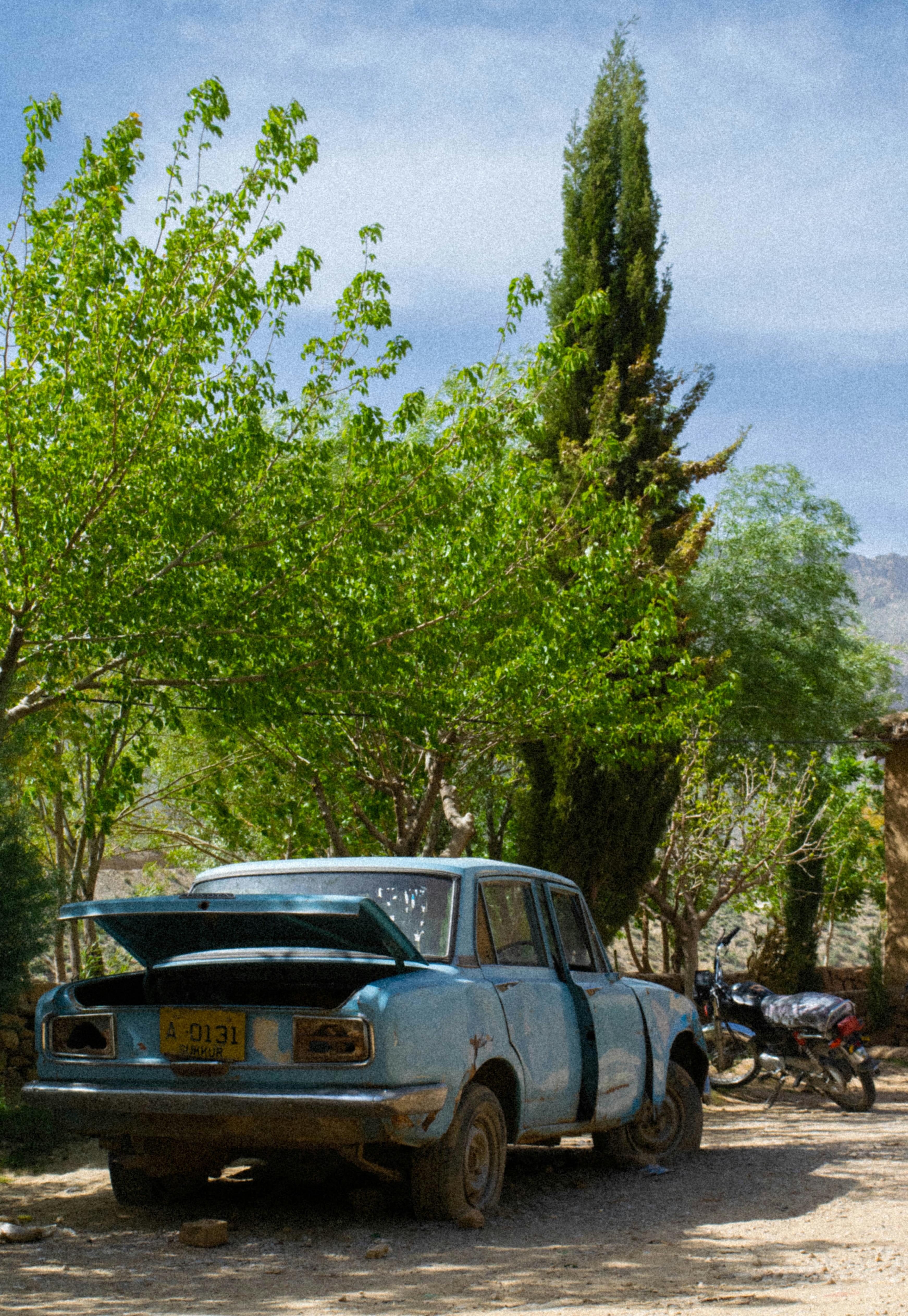 Open Trunk, Quiet Yard: A Weathered Blue Sedan Beneath Green Canopy